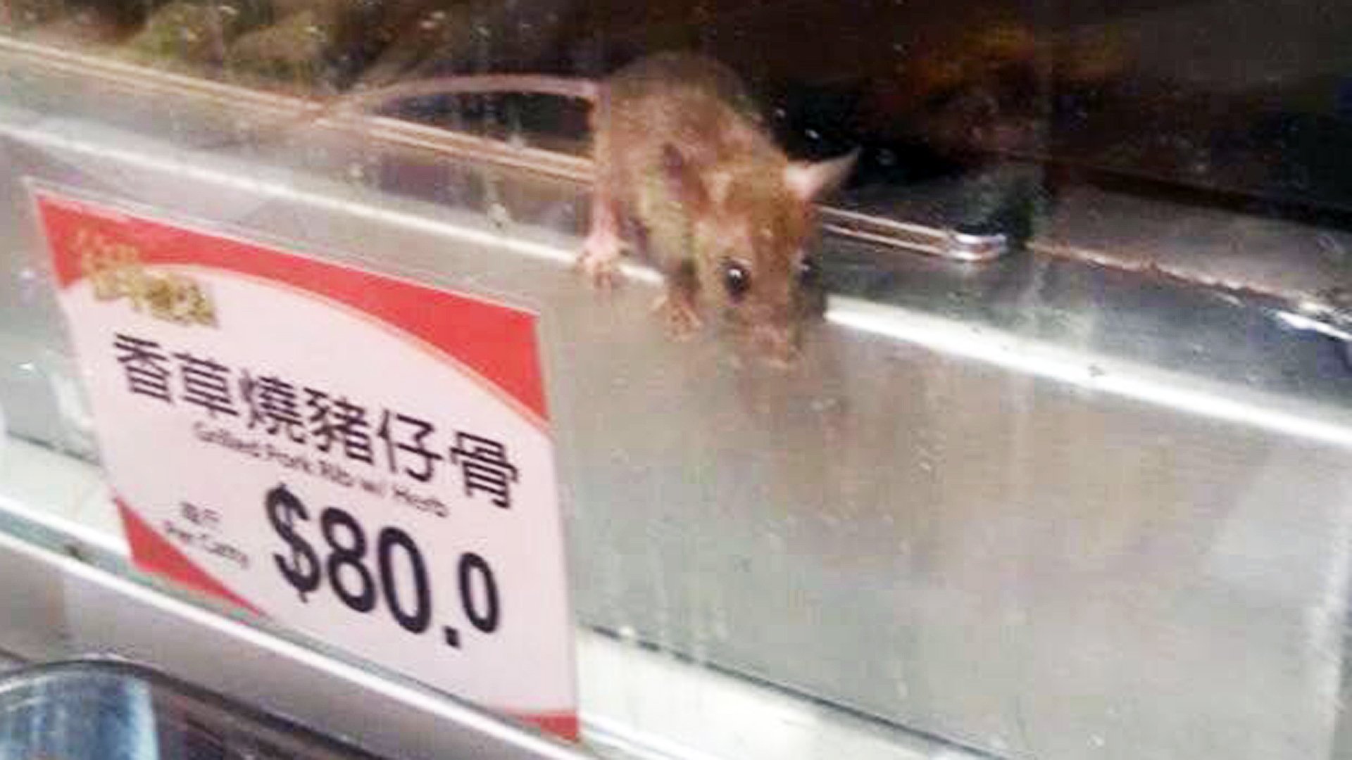 Kelly Liu | South China Morning Post