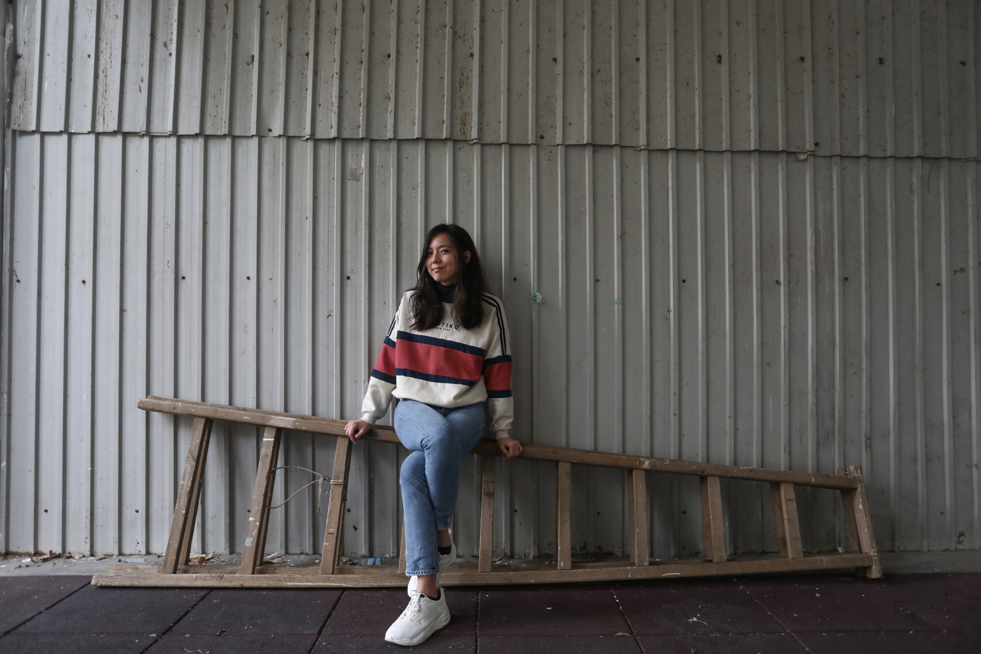 Stray, movie about dogs and Syrian refugees in Istanbul, and why Hong ...