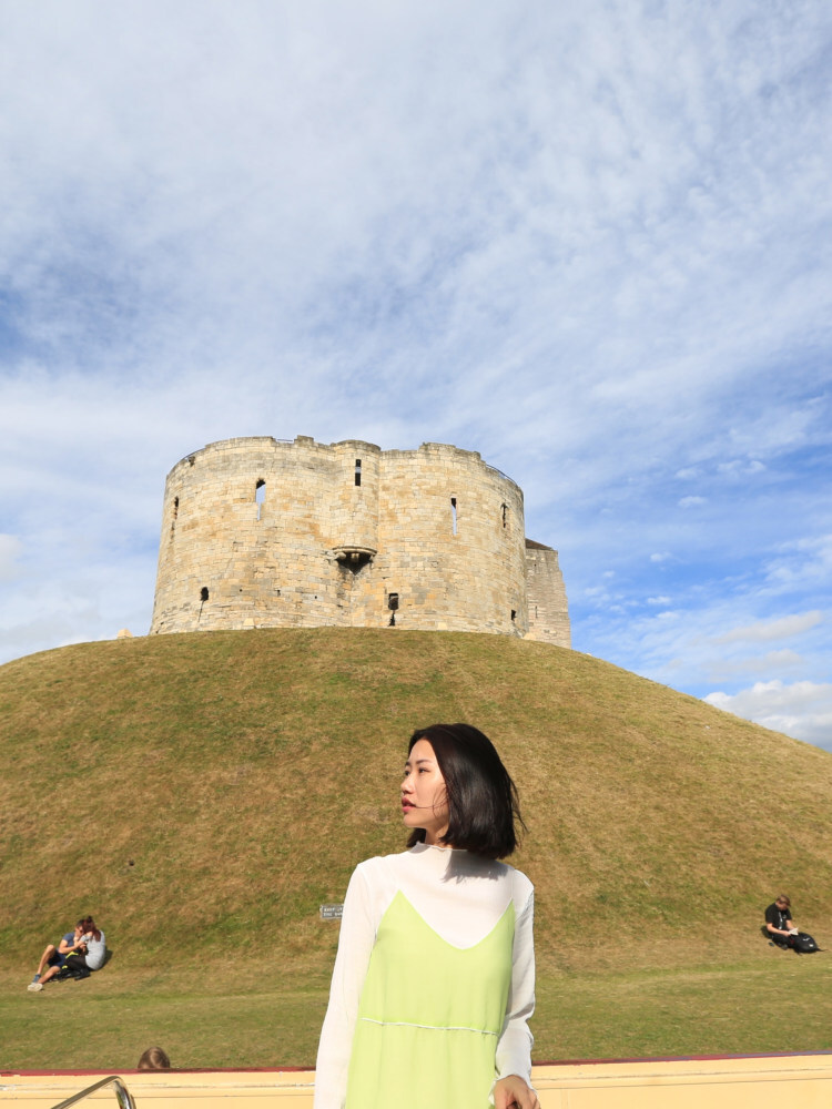 How British wildlife became a video sensation in China and beyond ...