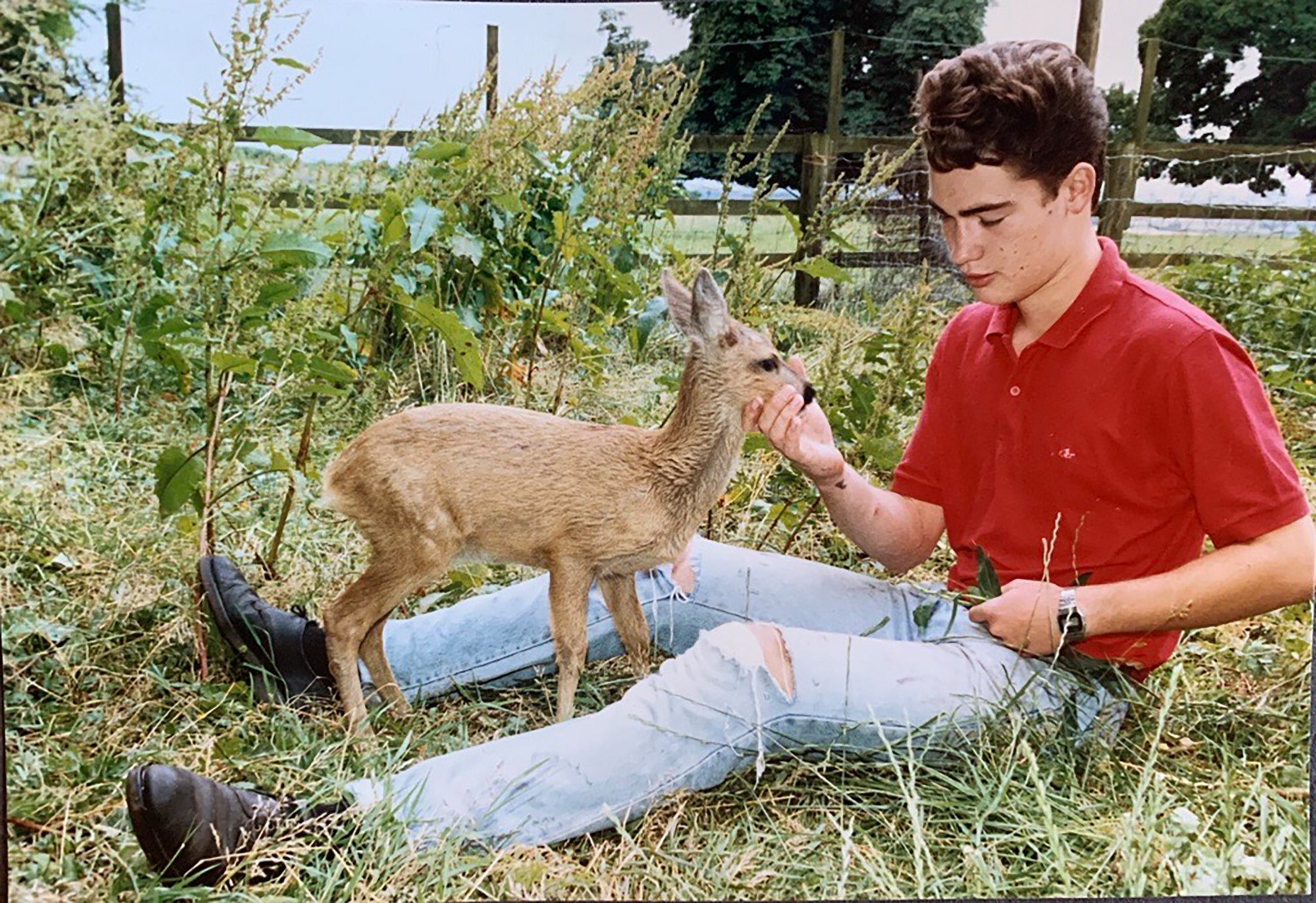 How British wildlife became a video sensation in China and beyond ...