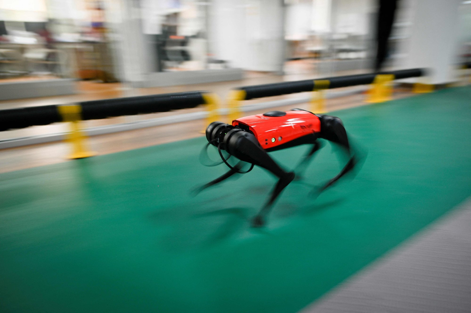Tech firm’s robo-dogs have their day in China as pet ownership booms ...