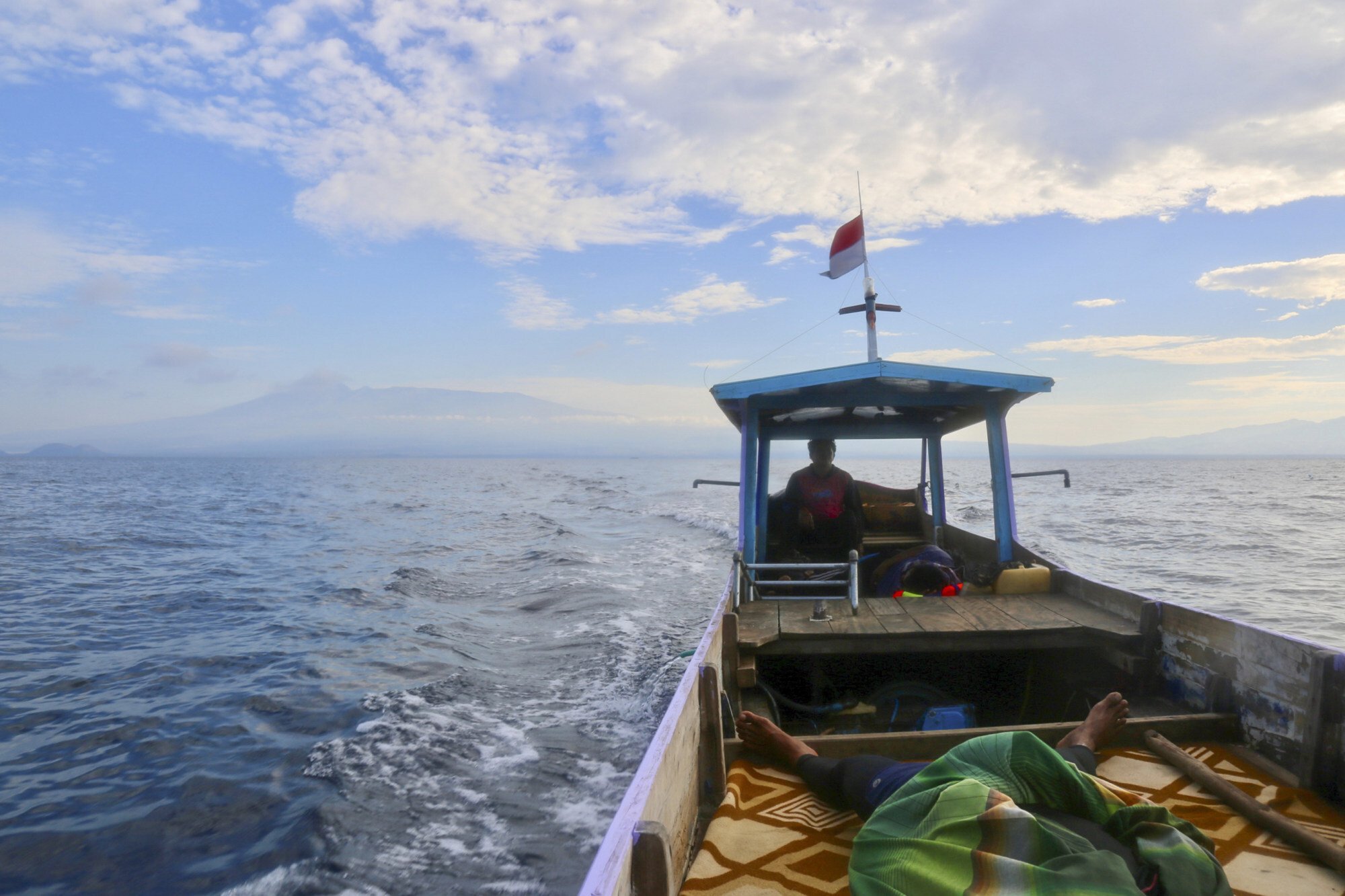 The best place to swim with whale sharks? Saleh Bay, in Indonesia’s ...