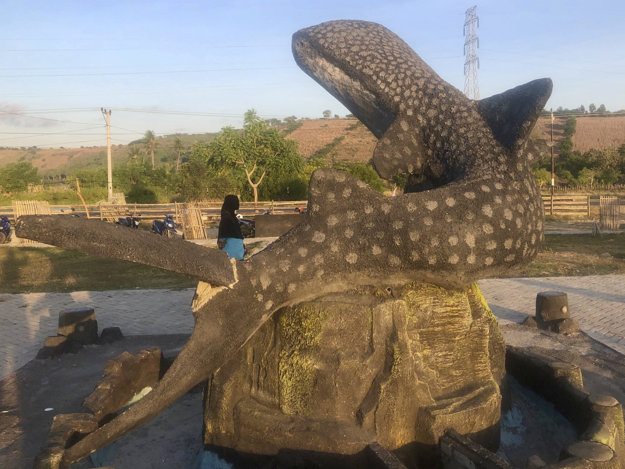 The best place to swim with whale sharks? Saleh Bay, in Indonesia’s ...