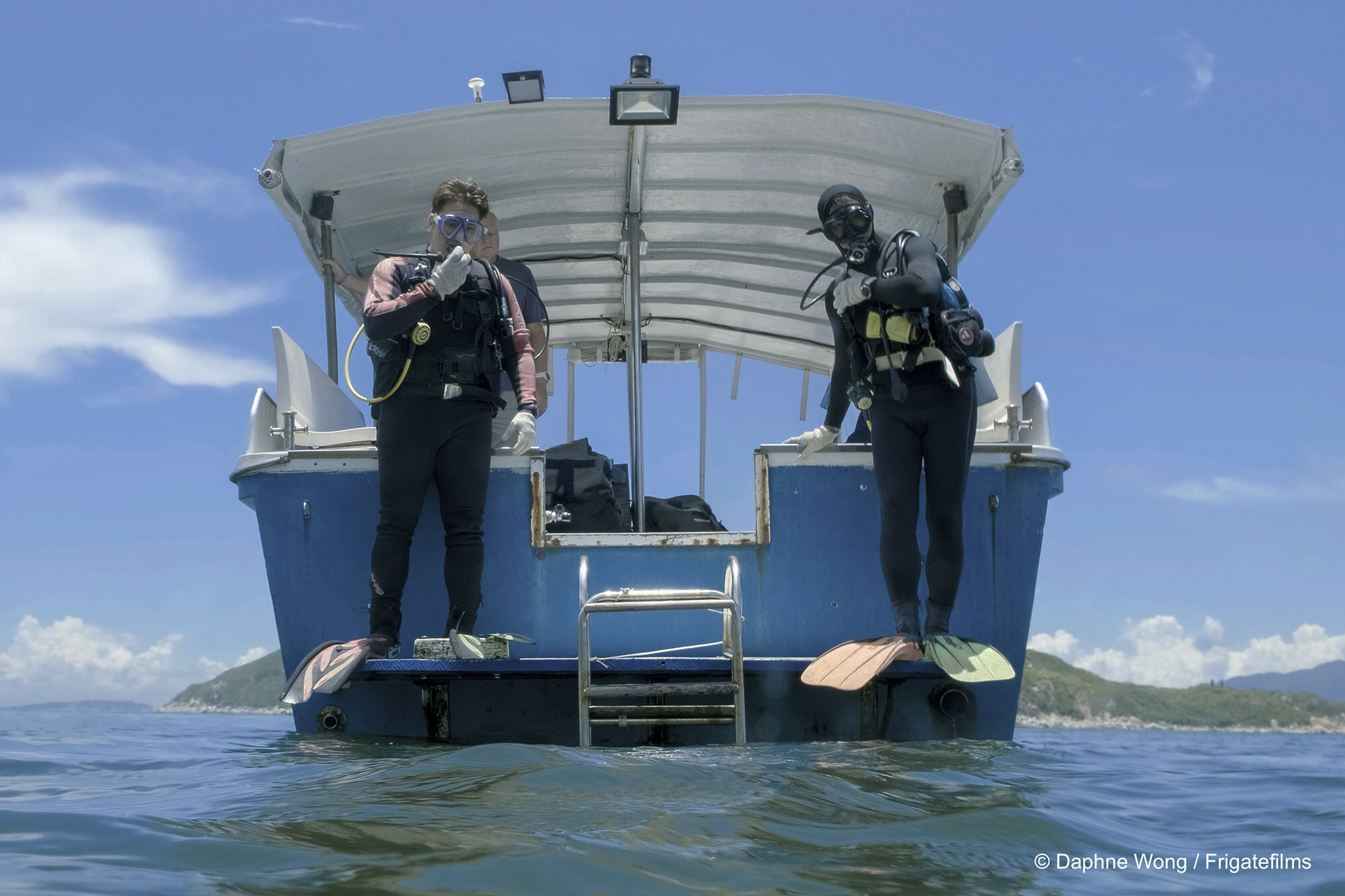 How ocean noise pollution is threatening Chinese white dolphins ...