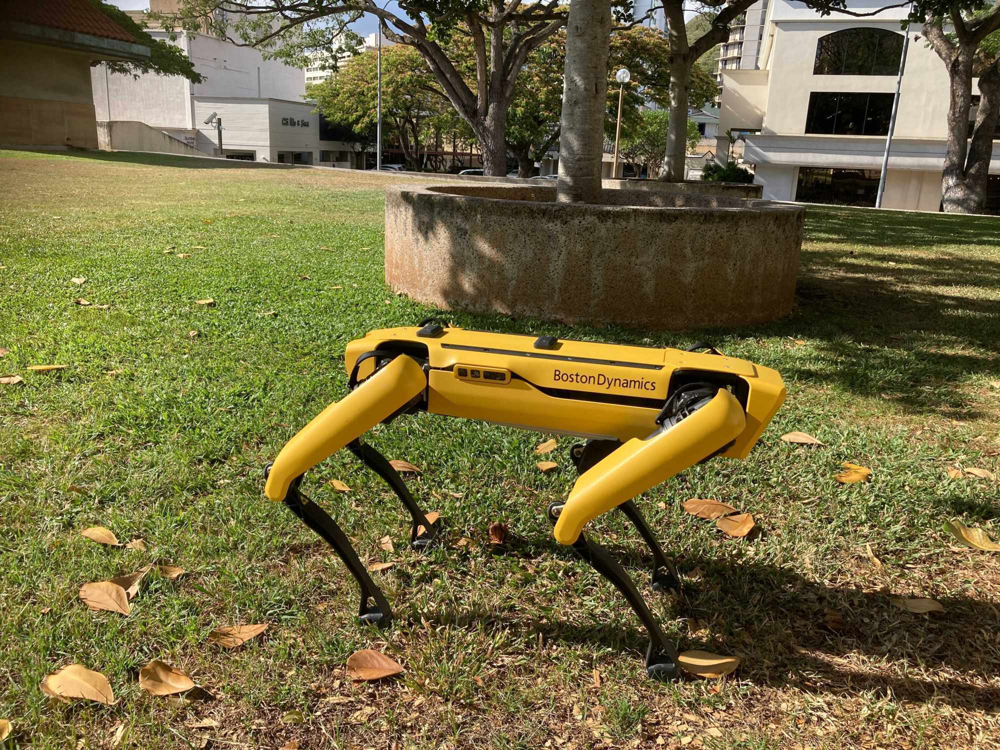 New York, the Netherlands, now Hawaii: robot police dogs have been ...