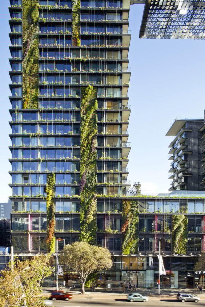 The engineering behind vertical gardens – how the plants are chosen ...
