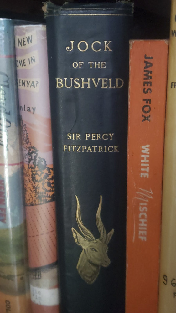 Opinion | The children’s books Europeans in Asia grew up reading, from ...