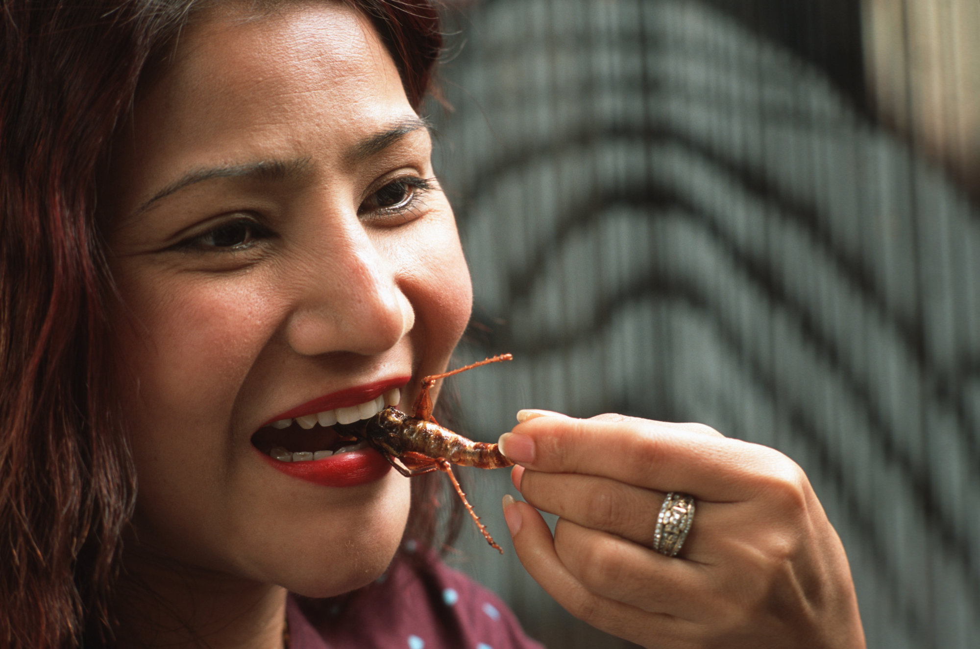Why Insects Matter Why They Should Fascinate You And How To Stop Humankind Wiping Them Out