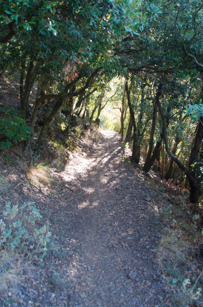 Self-guided walking holidays - they give you a sense of adventure but ...