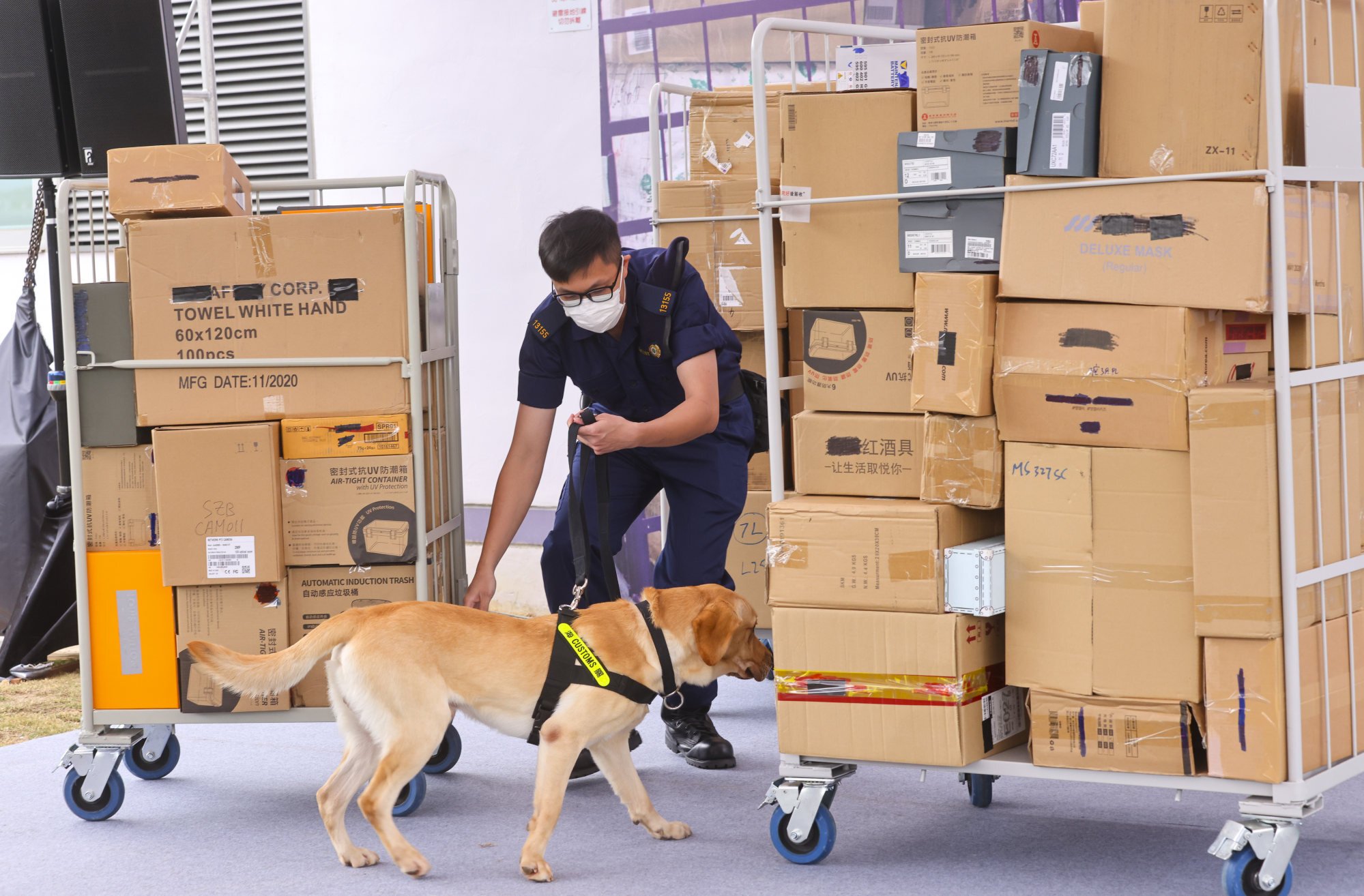 Hong Kong customs’ 4 detection dogs report for duty to sniff out ...