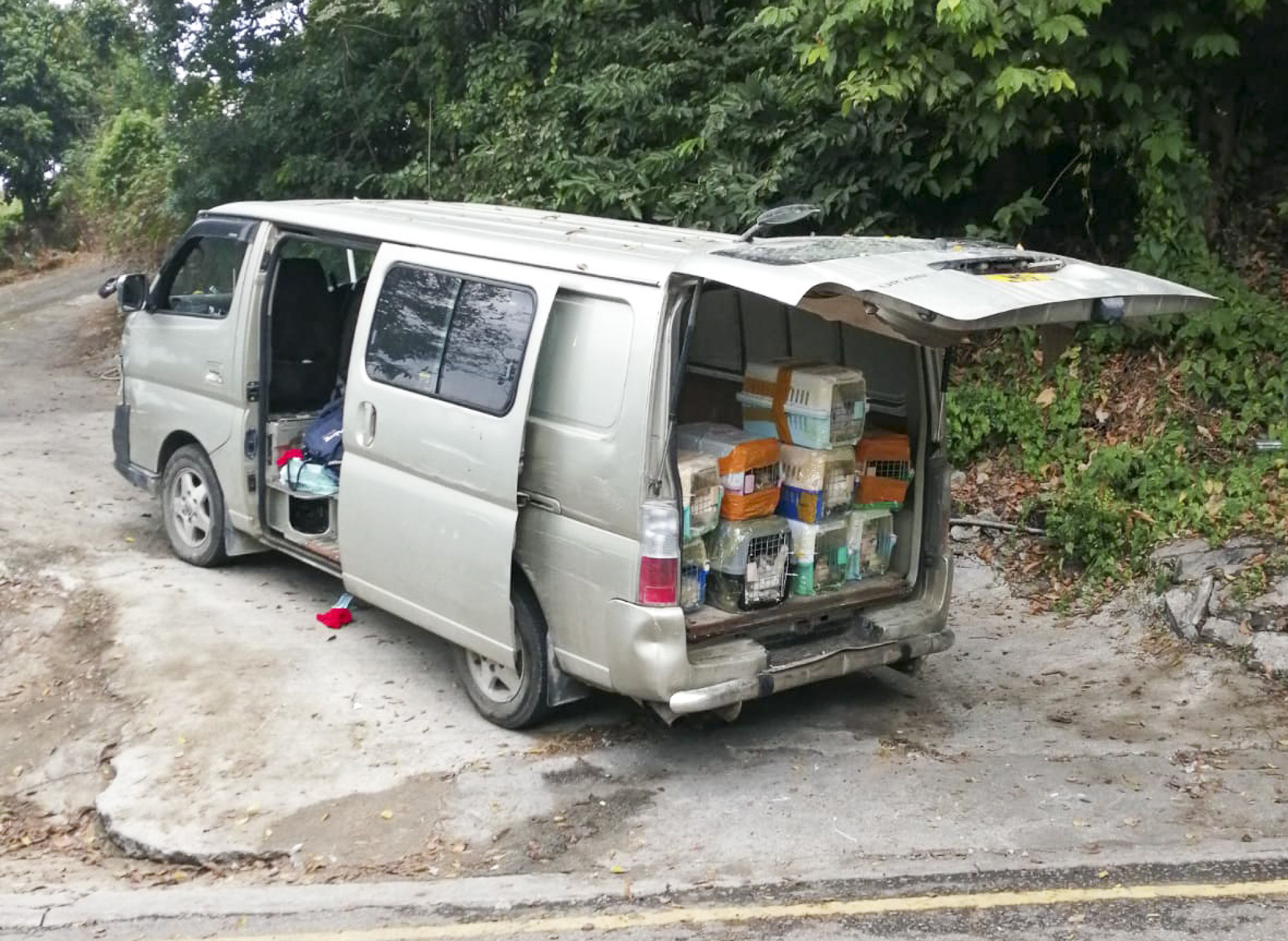 Hong Kong police officer draws gun in failed bid to stop suspected pet ...