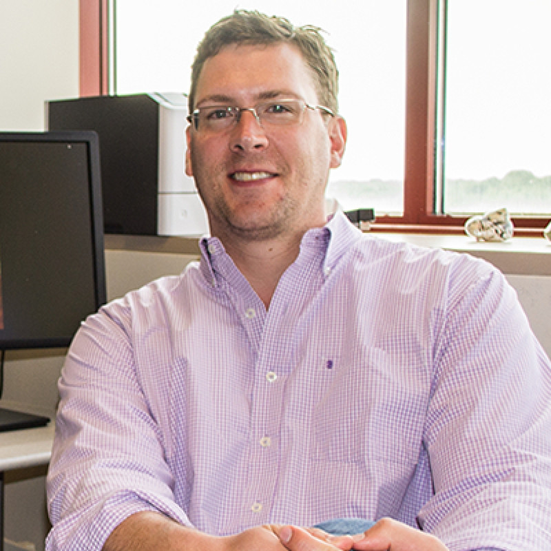 Forget Jaws and Sharknado: sharks may prevent us catching coronavirus ...