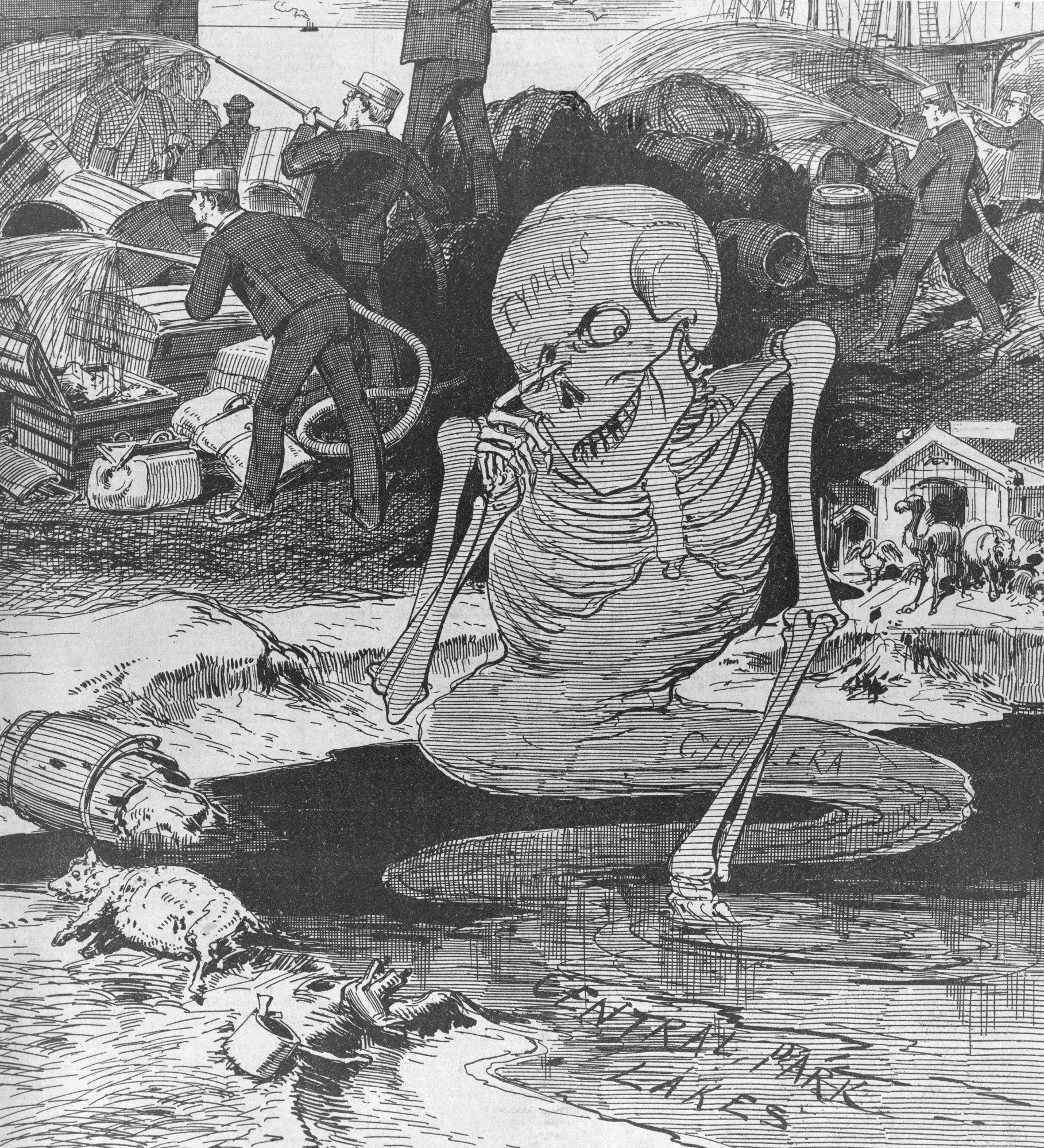 Professor rewrites the history of disease and explains why Covid-19 was ...
