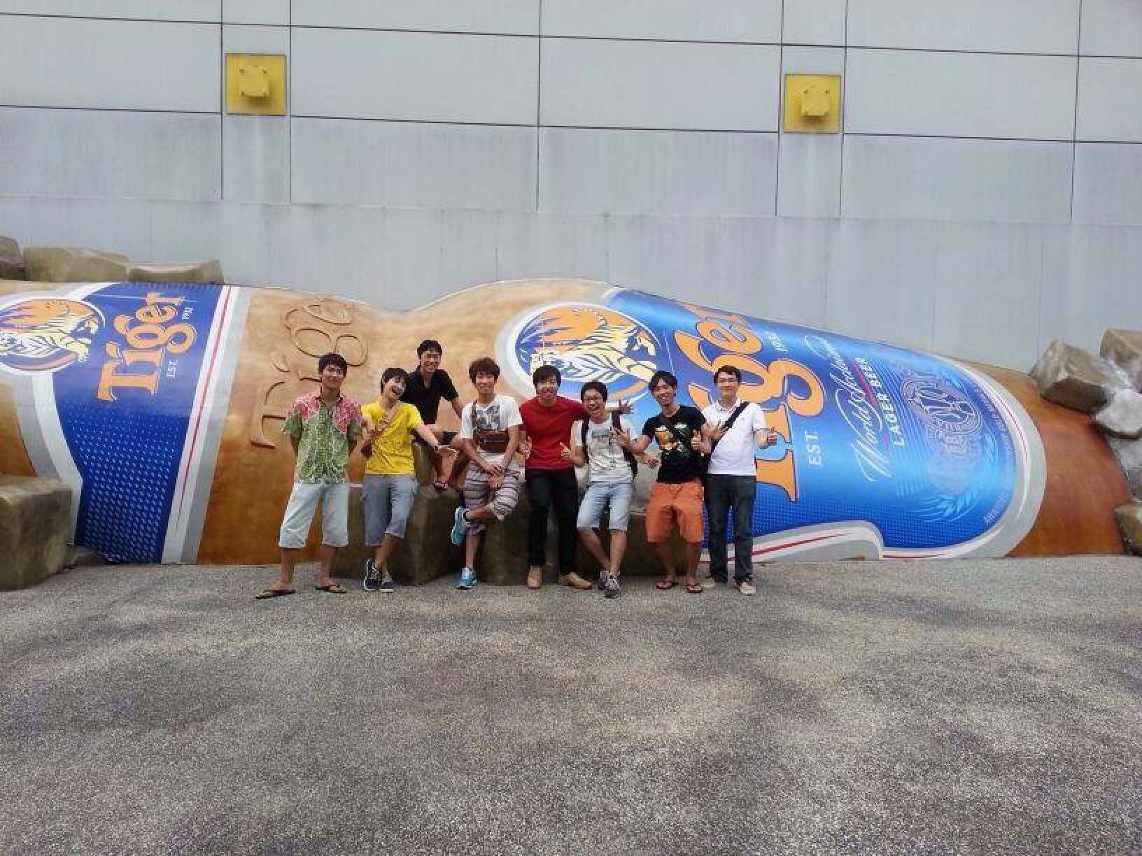 From Crouching Tiger, Hidden Dragon backdrop to Singapore’s Tiger beer ...