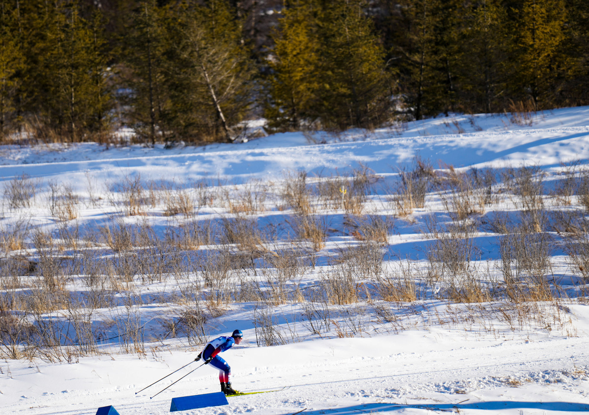 Winter Olympics: here’s everything you need to know about skiing and ...