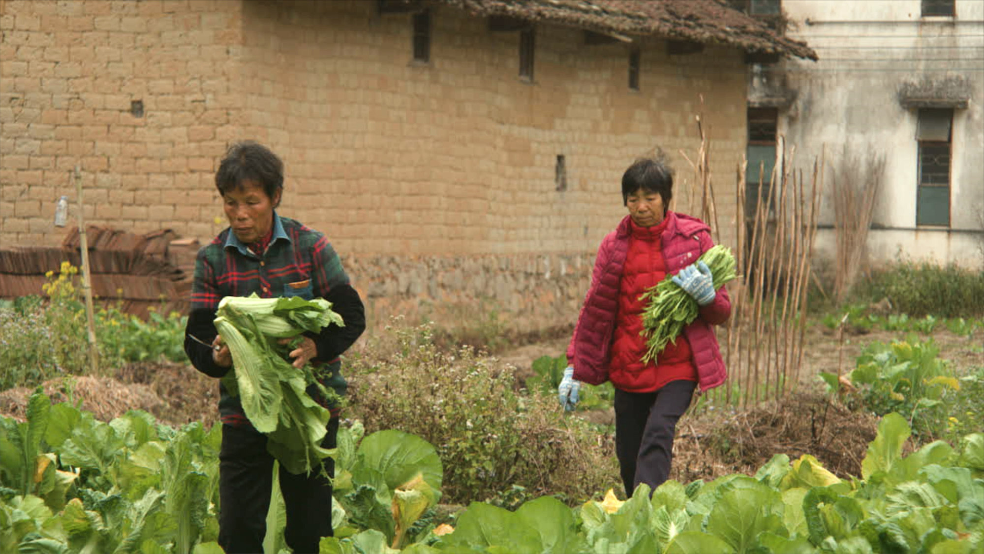 How one rural village in mainland China is breaking the cycle of ‘left ...