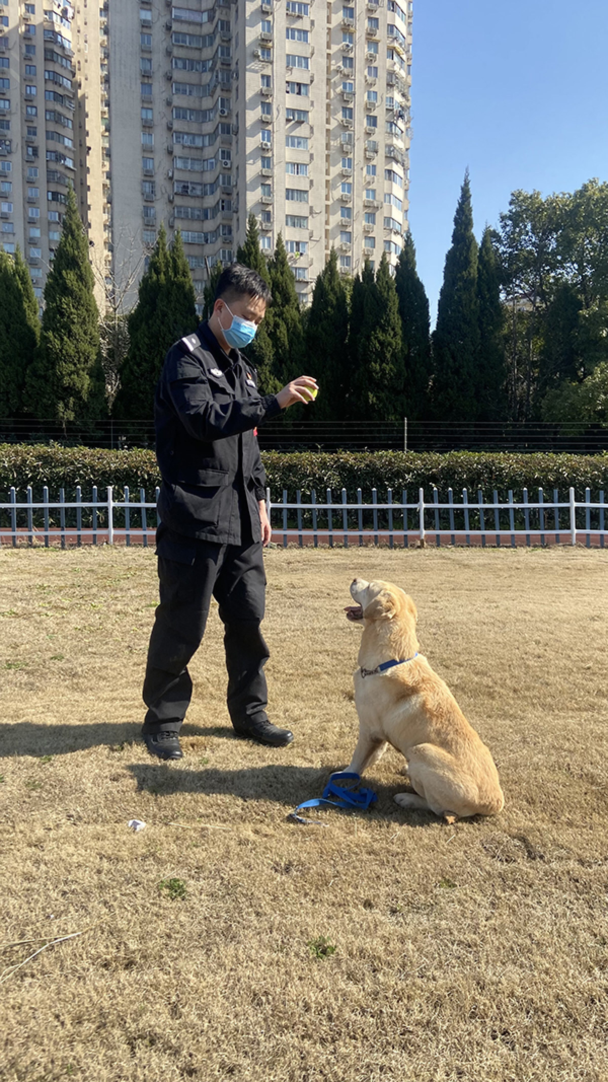 Shanghai’s famous bomb sniffer dog Shengmi retires after decade-long ...