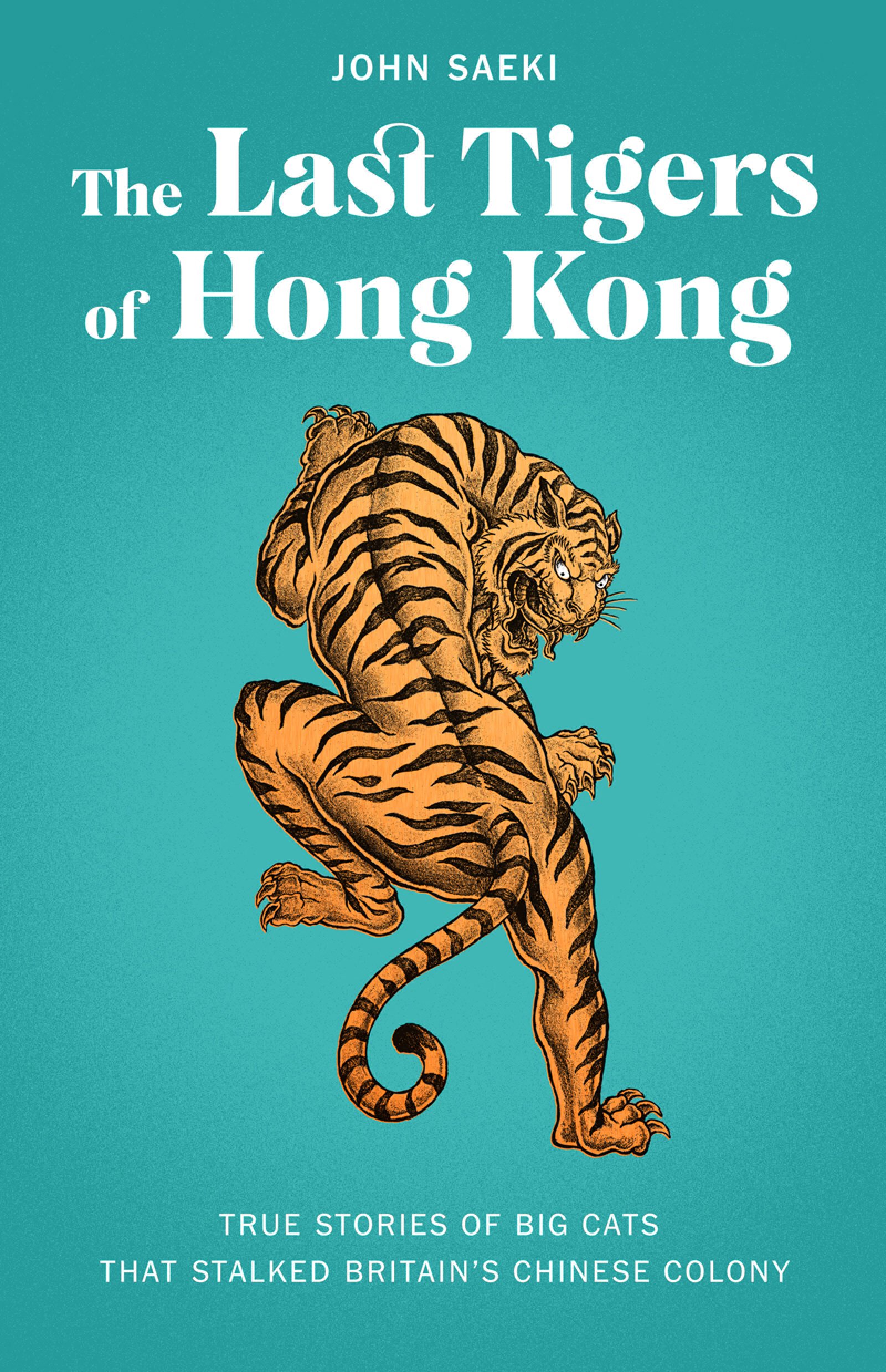 Tiger sightings in Hong Kong – a definitive guide to the big cats ...