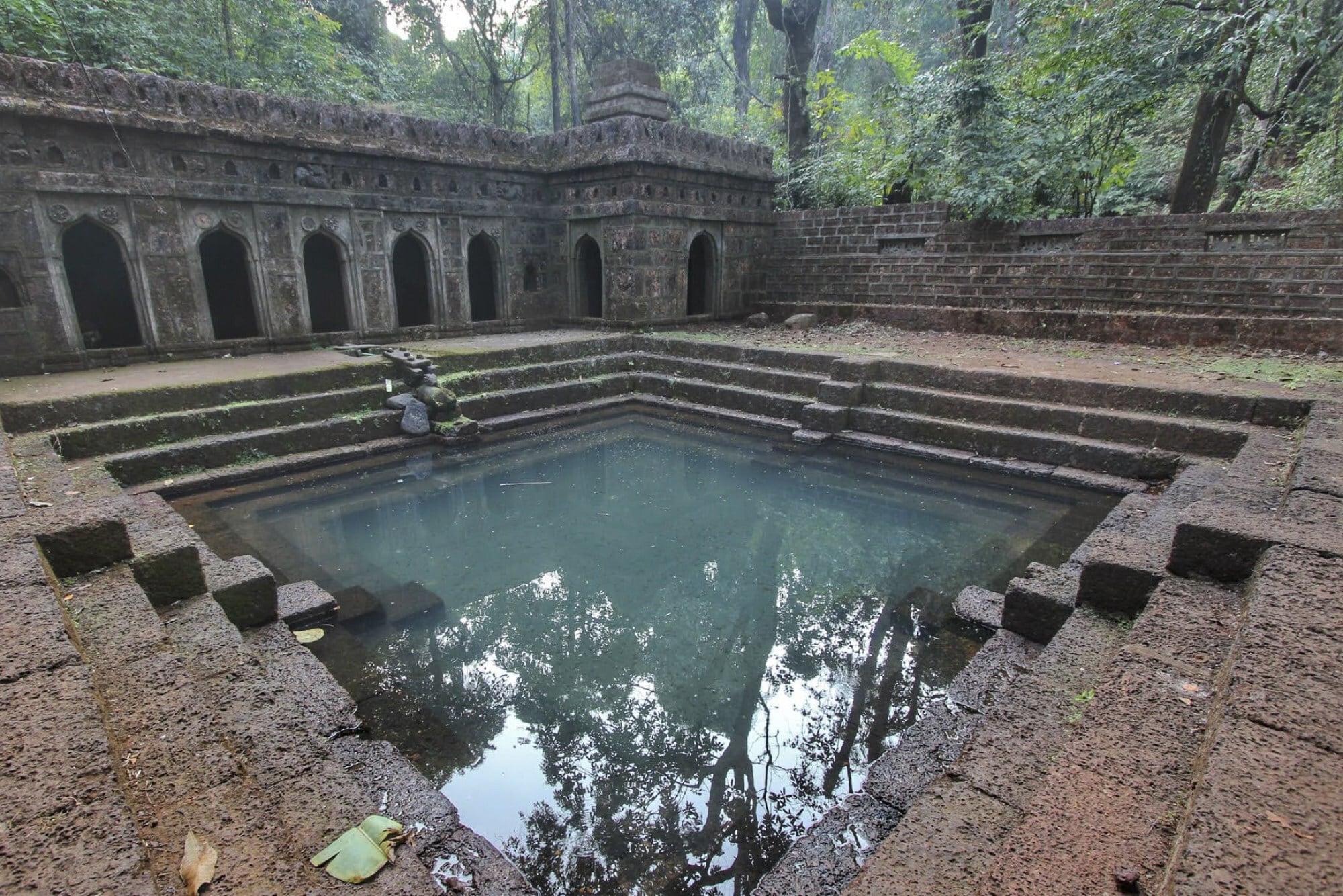 How an Indian architectural feature once plentiful is being saved by a ...