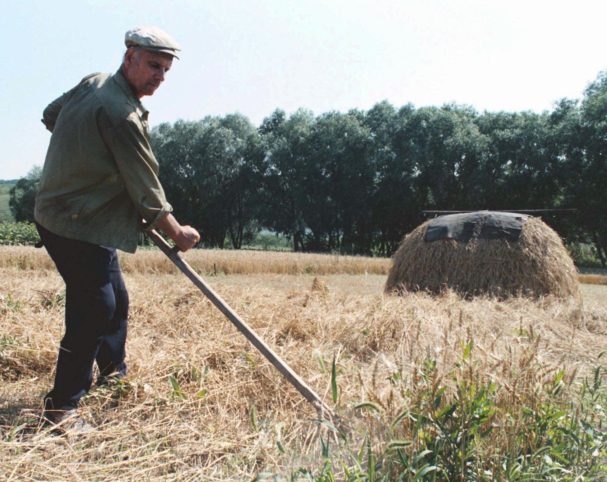 World food prices hit record high over Ukraine war; risk of ...