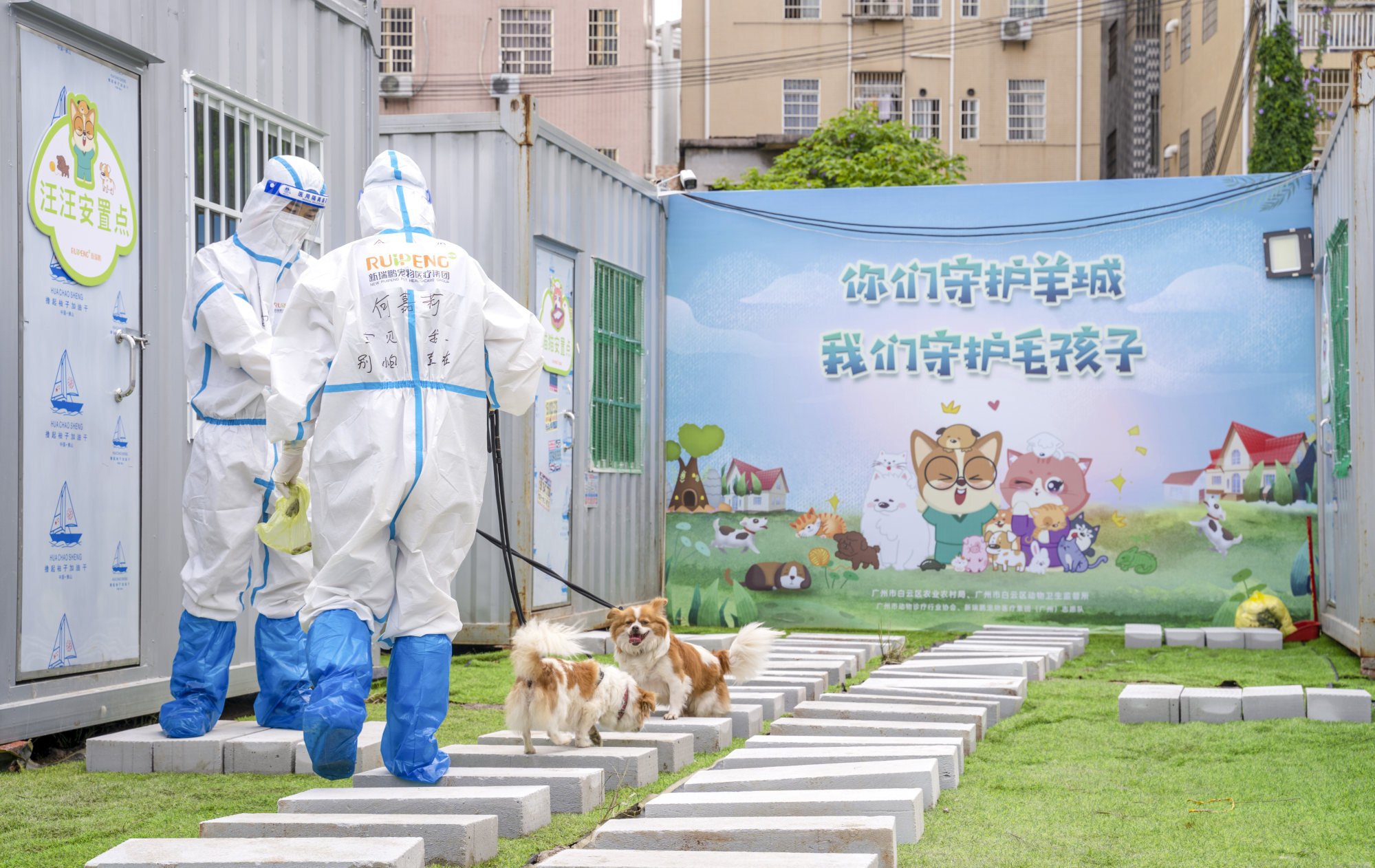 Guangzhou becomes second city in China to open pet quarantine centre ...