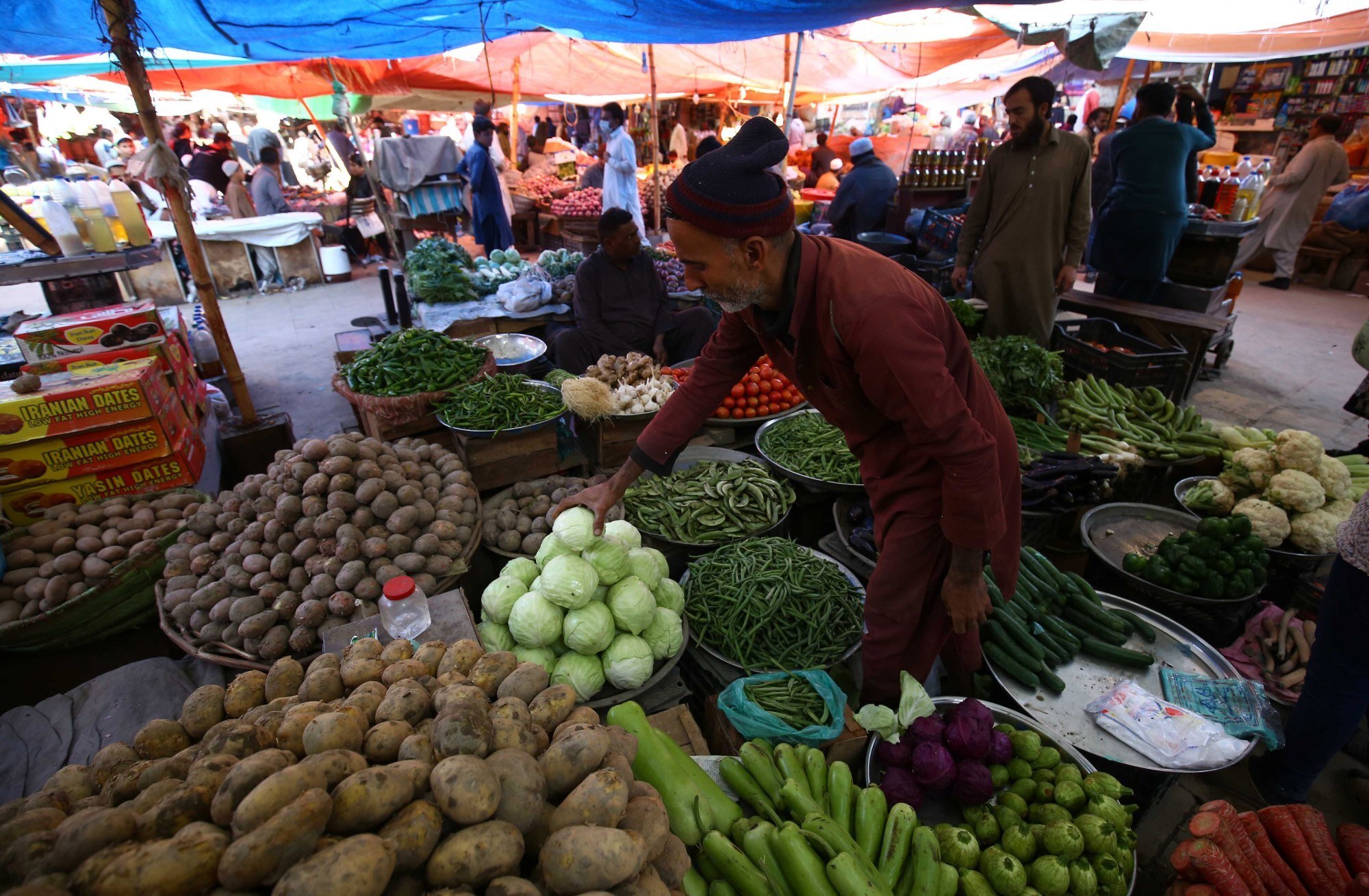 Pakistan left reeling from Jokowi’s decision to ban Indonesian palm oil ...