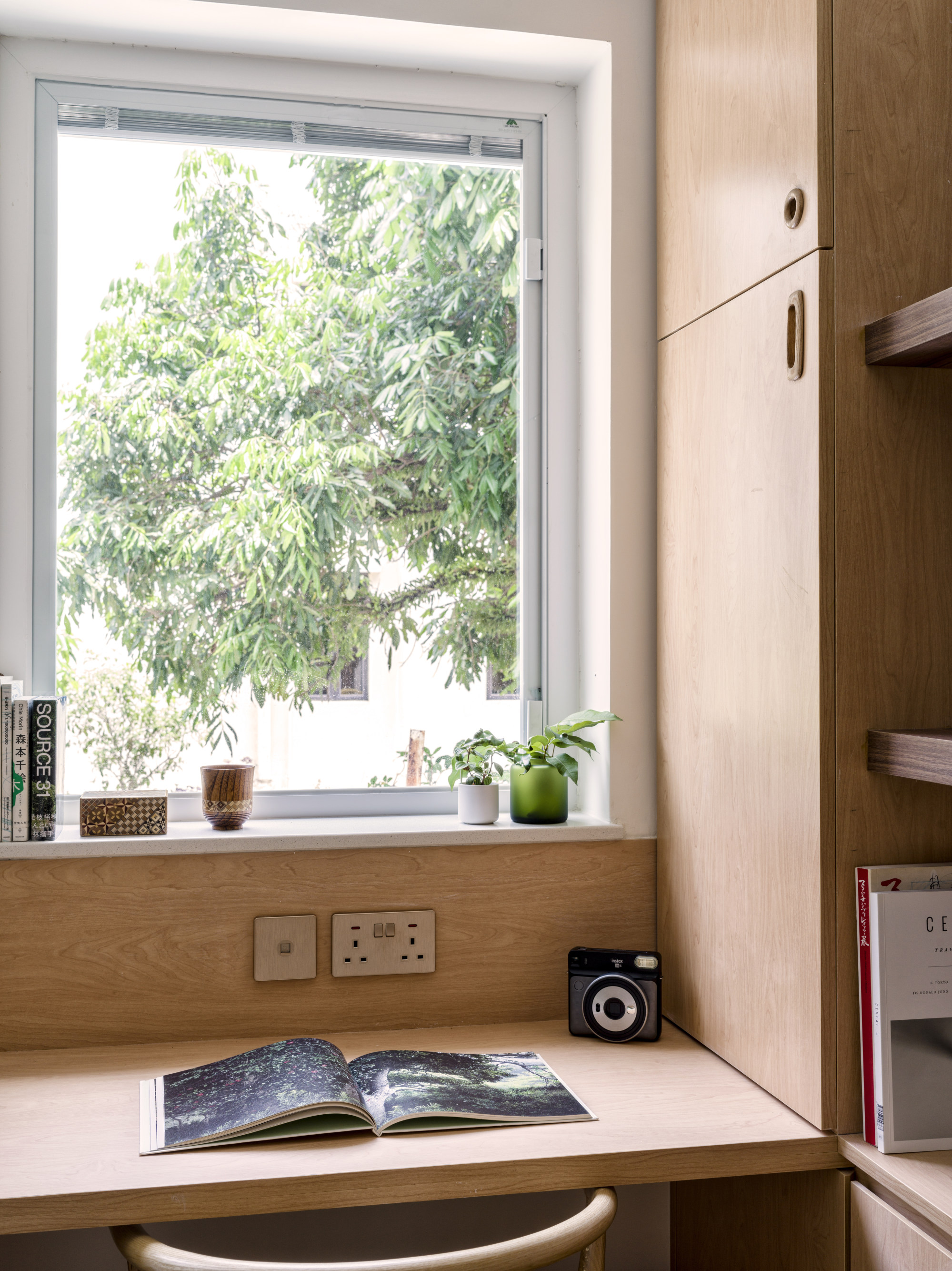 Hong Kong apartment’s design inspired by a tree over 100 years old ...