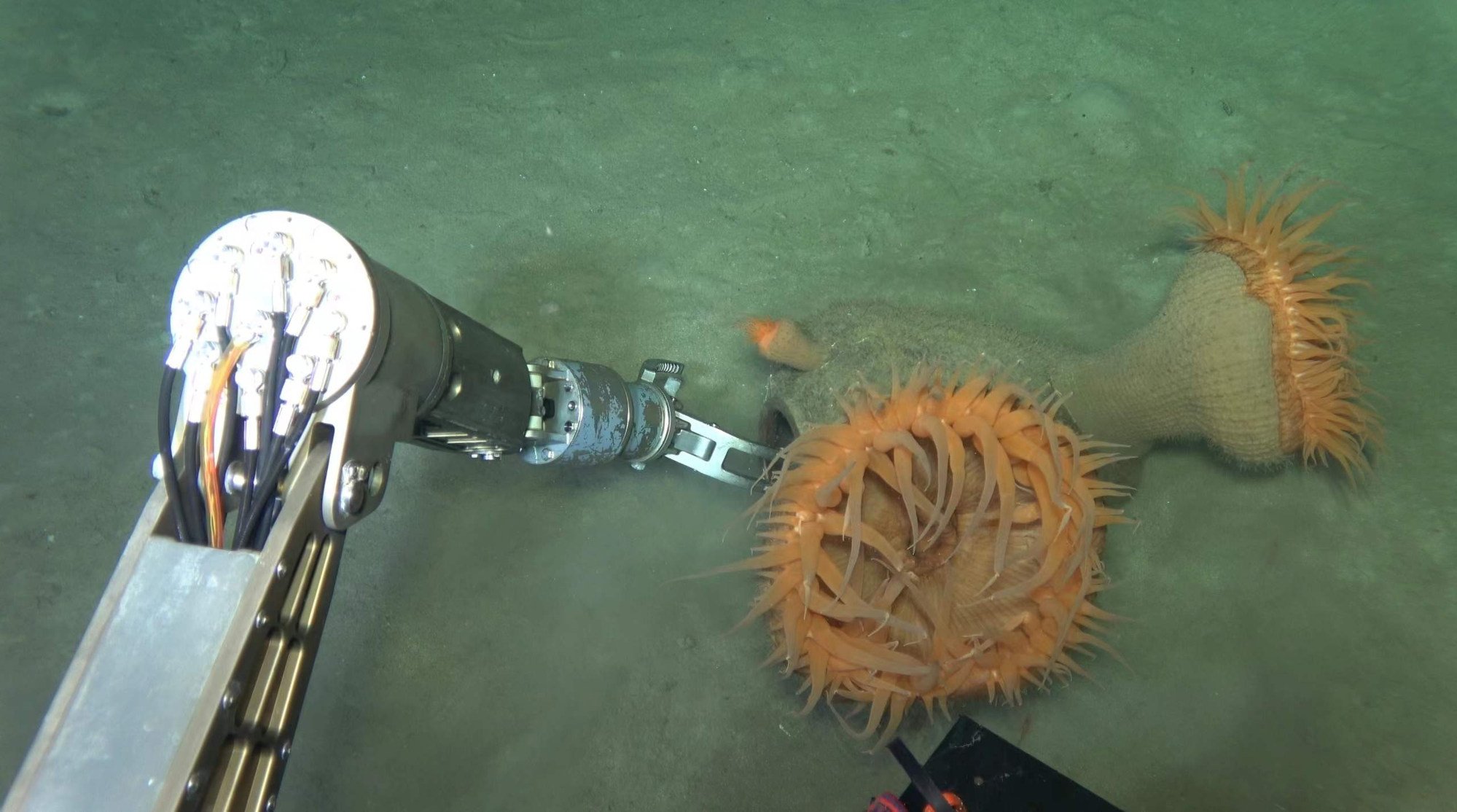 Deep dive for Chinese underwater lab in mission to bottom of South ...