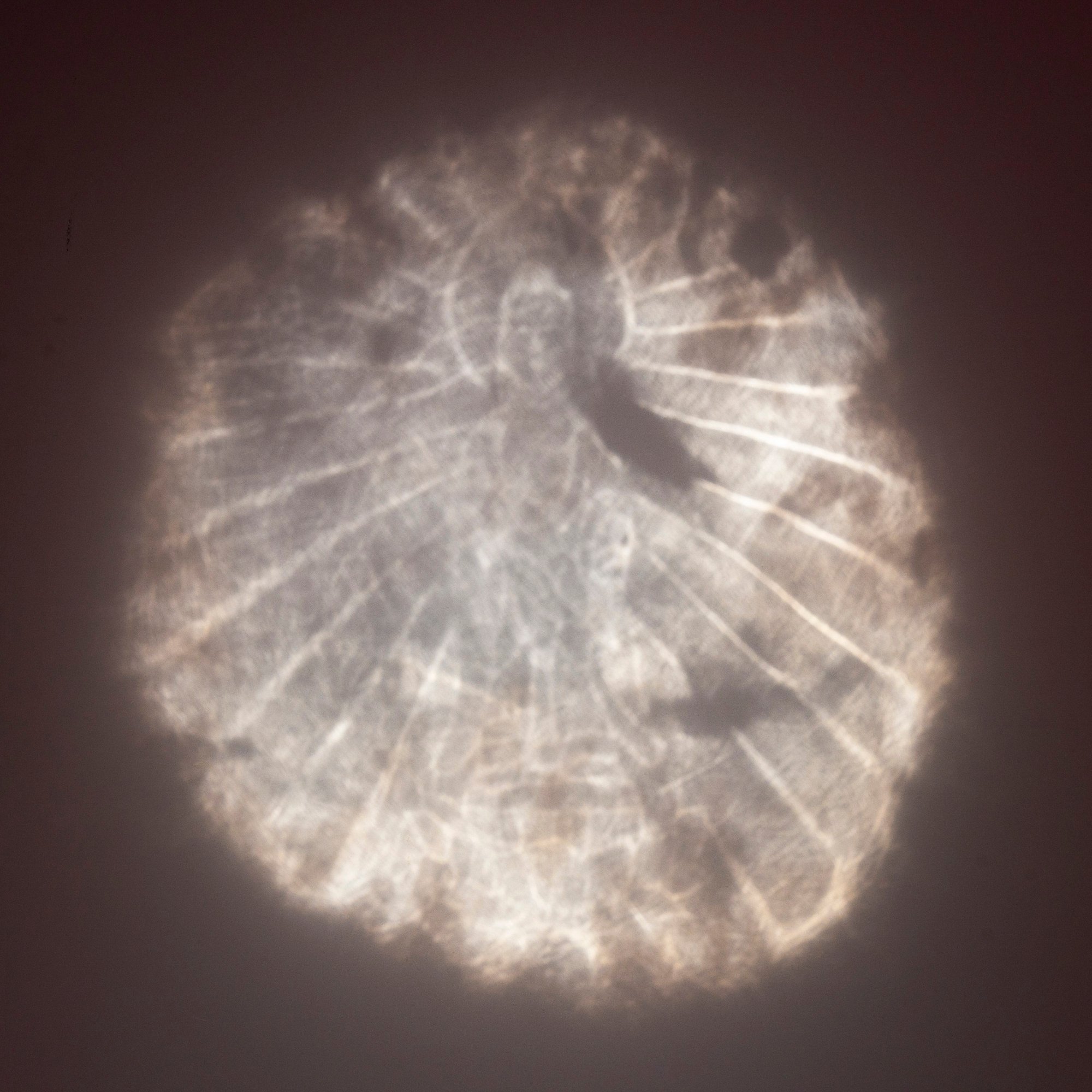 A stunning 16th-century Chinese ‘magic mirror’ was found in a US art ...