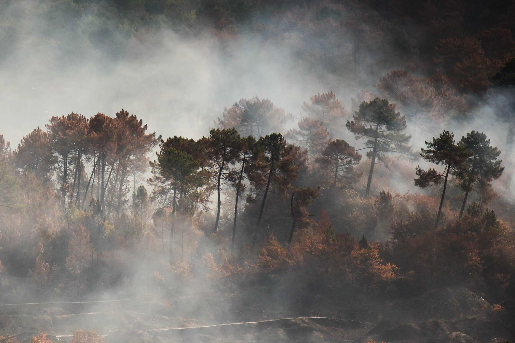Arson suspected as huge French wildfire reignites, forcing thousands ...