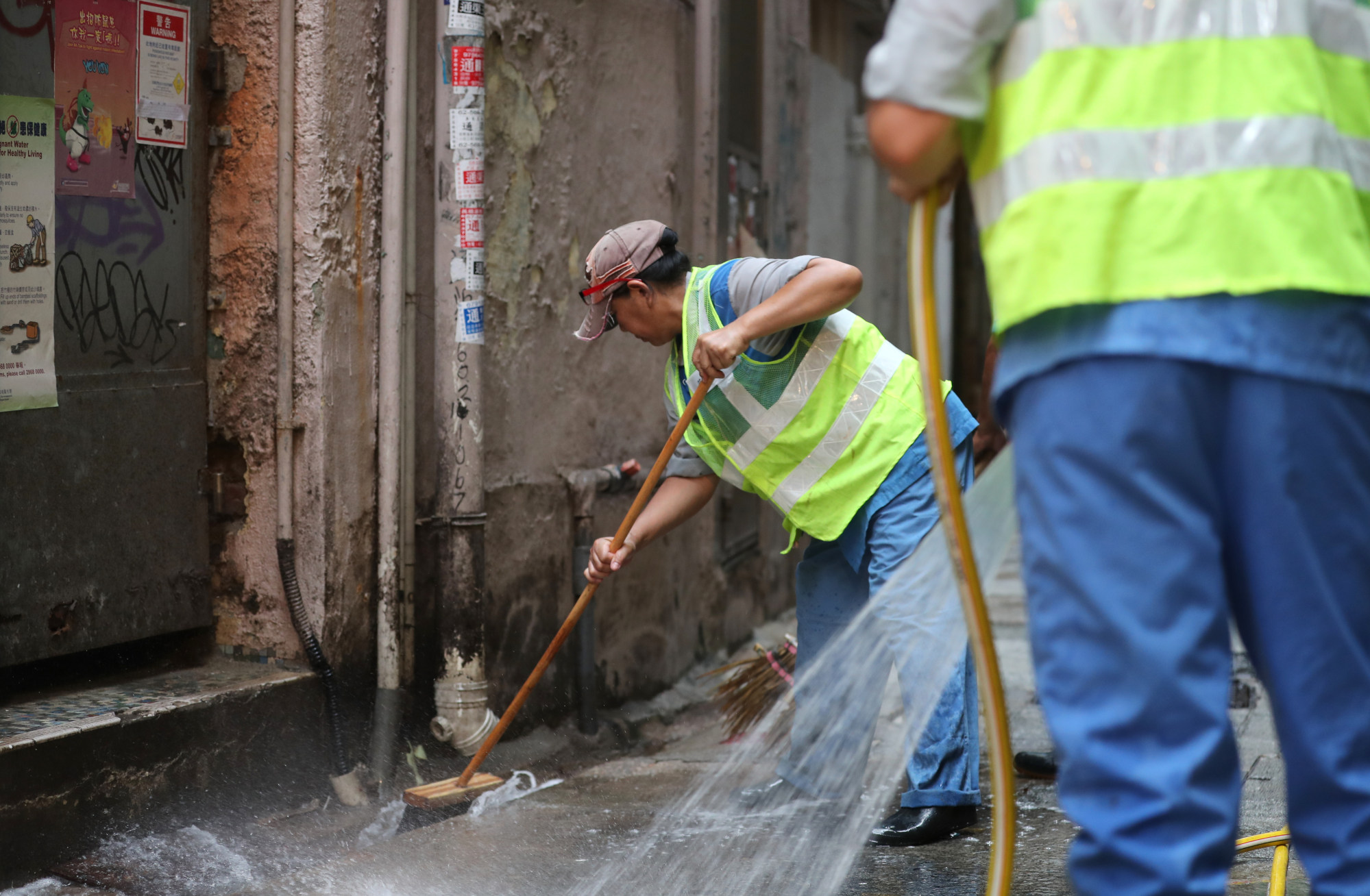 Rat attack: new Hong Kong task force launches campaign to ‘beautify ...
