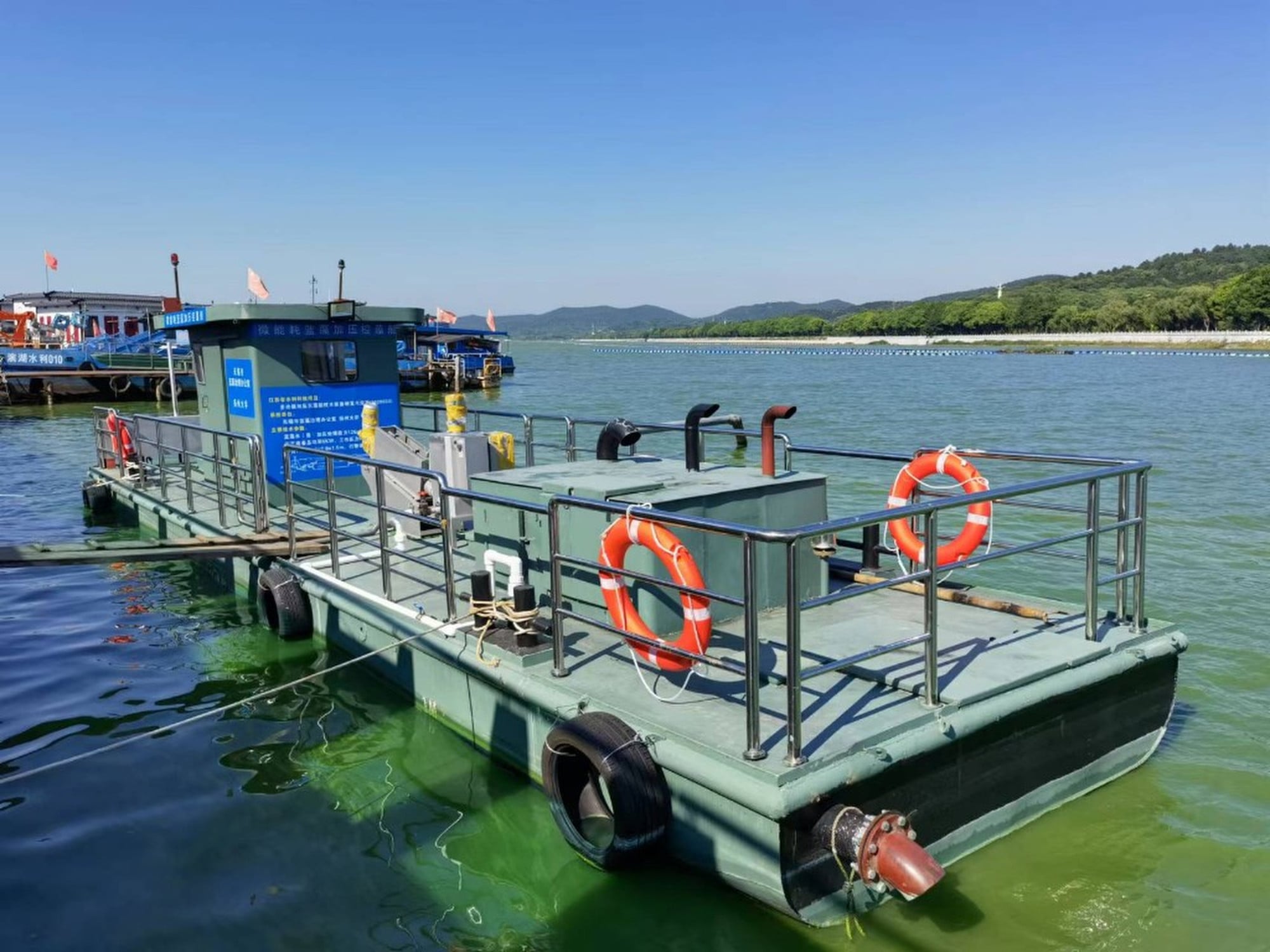 Chinese scientists clear blue-green algae bloom from massive lake with ...