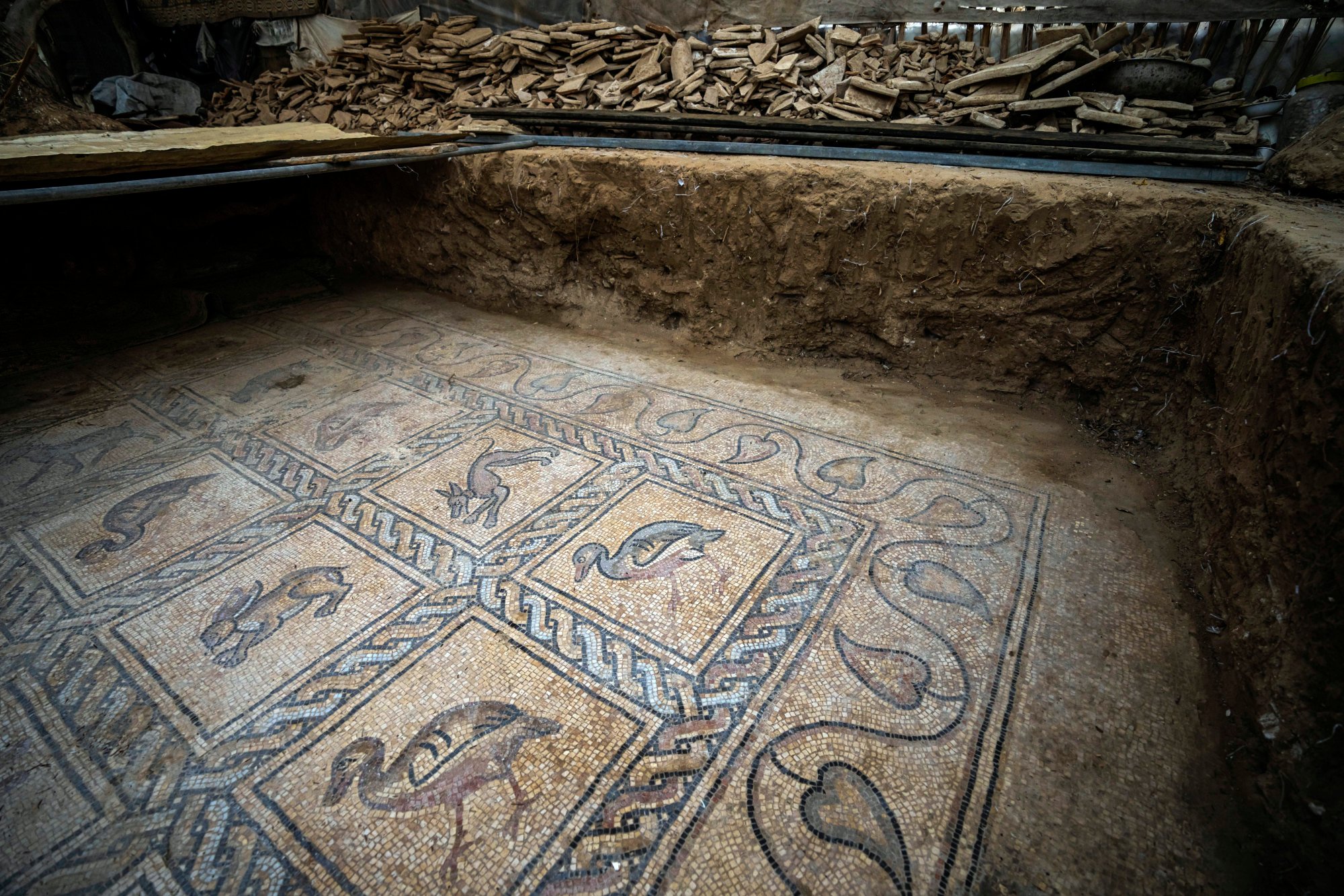 ‘One of Gaza’s greatest archaeological treasures’ found by Palestinian ...