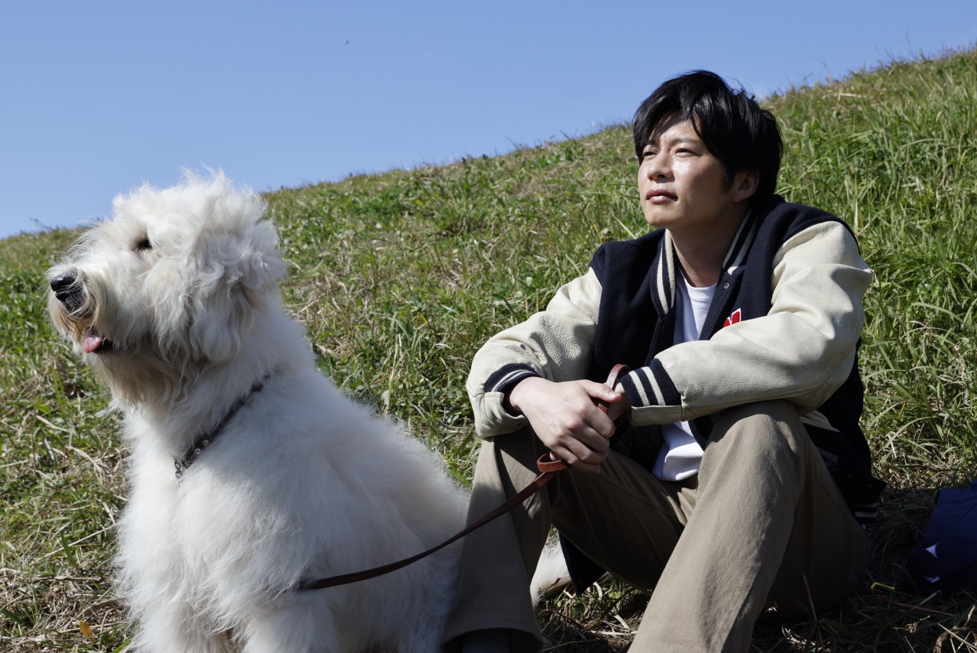 Haw movie review: a missing dog comforts new human friends in ...