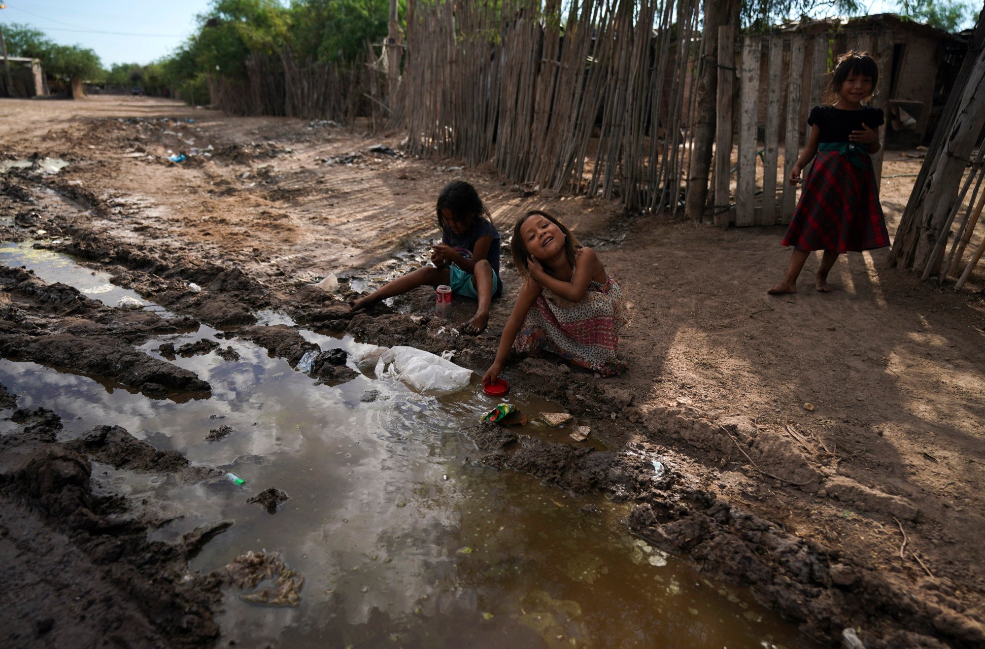 Why is Mexico such a deadly spot for environmental activists? | South ...