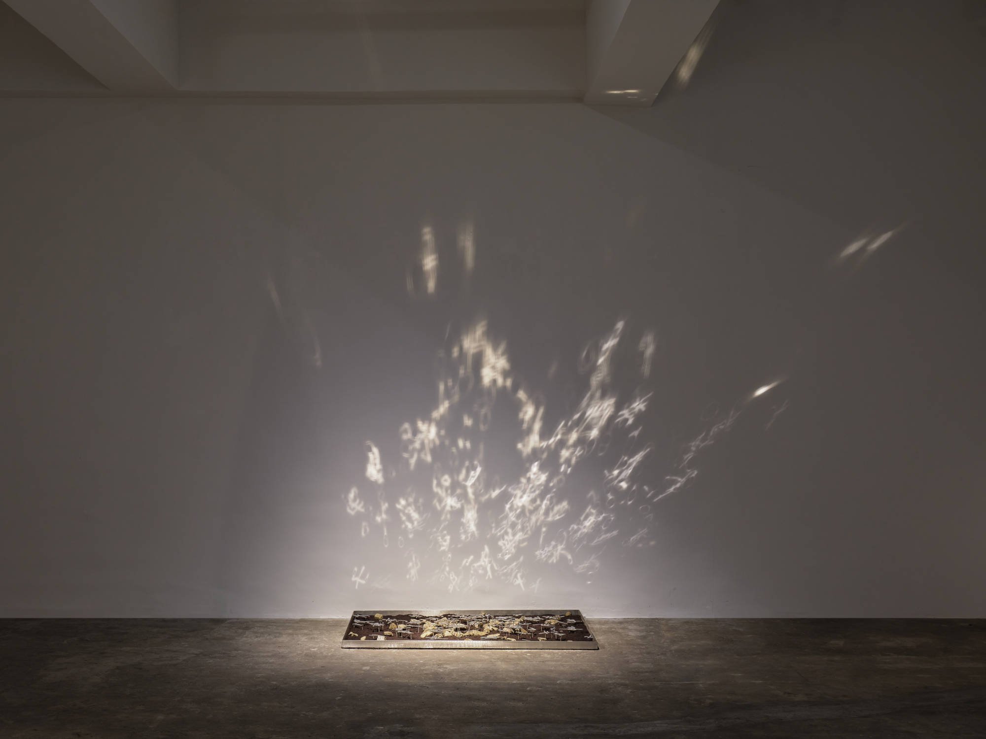 Prominent Hong Kong artist Jaffa Lam holds first commercial show – it ...