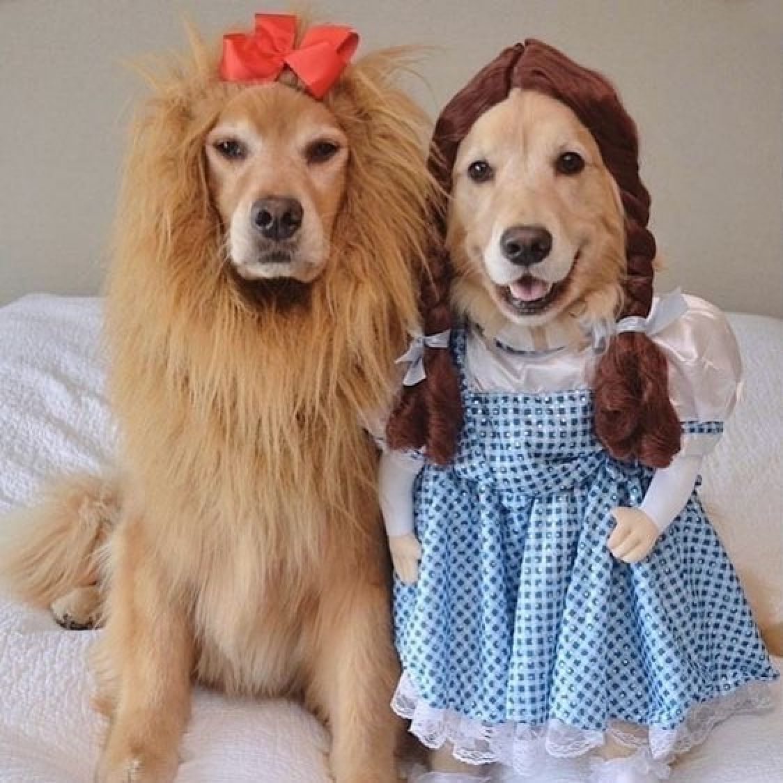 Why luxury brands are cashing in on rich millennial pet owners: from ...