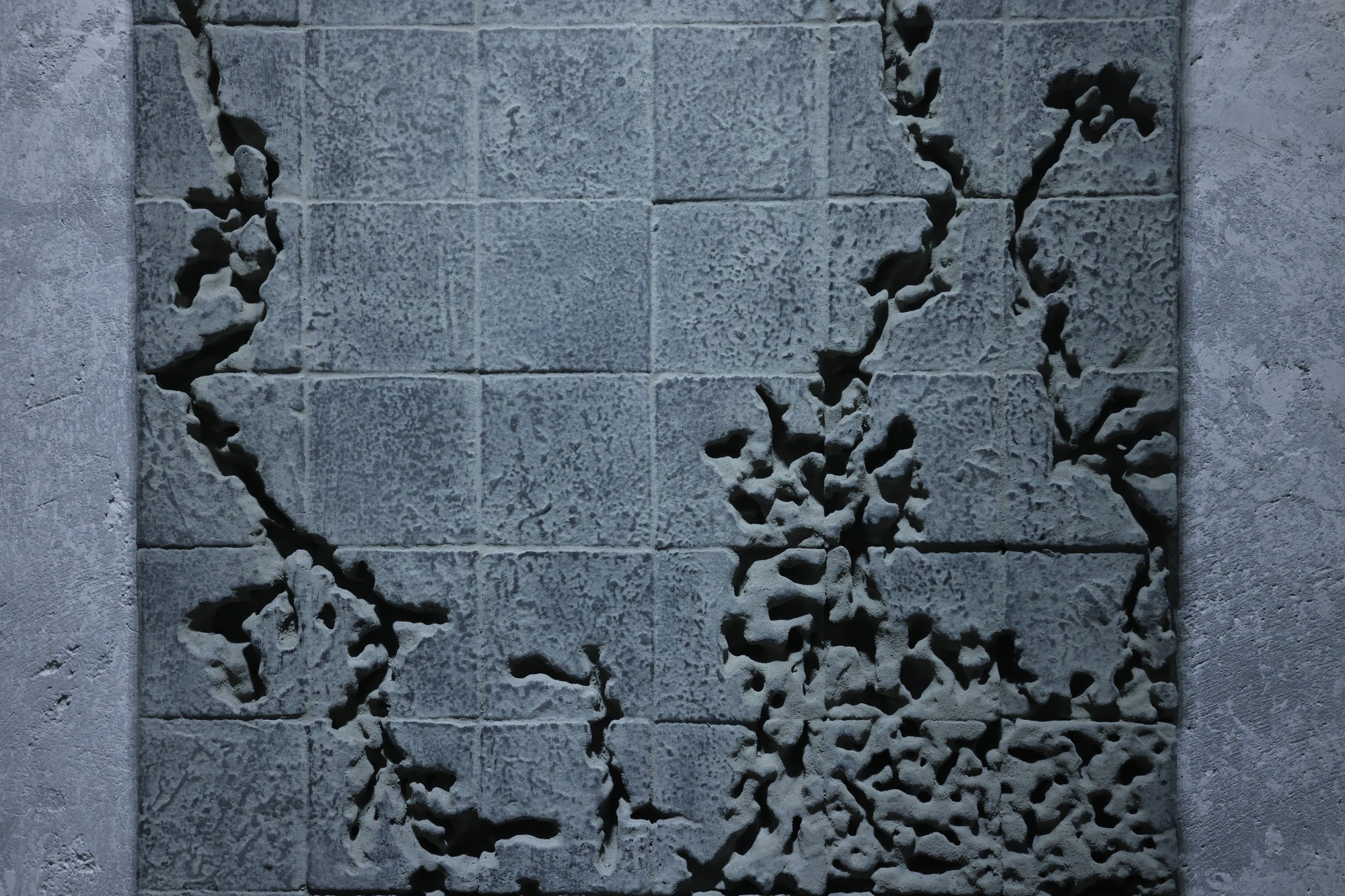 Superworms with planet-saving, plastic munching power to threaten much ...