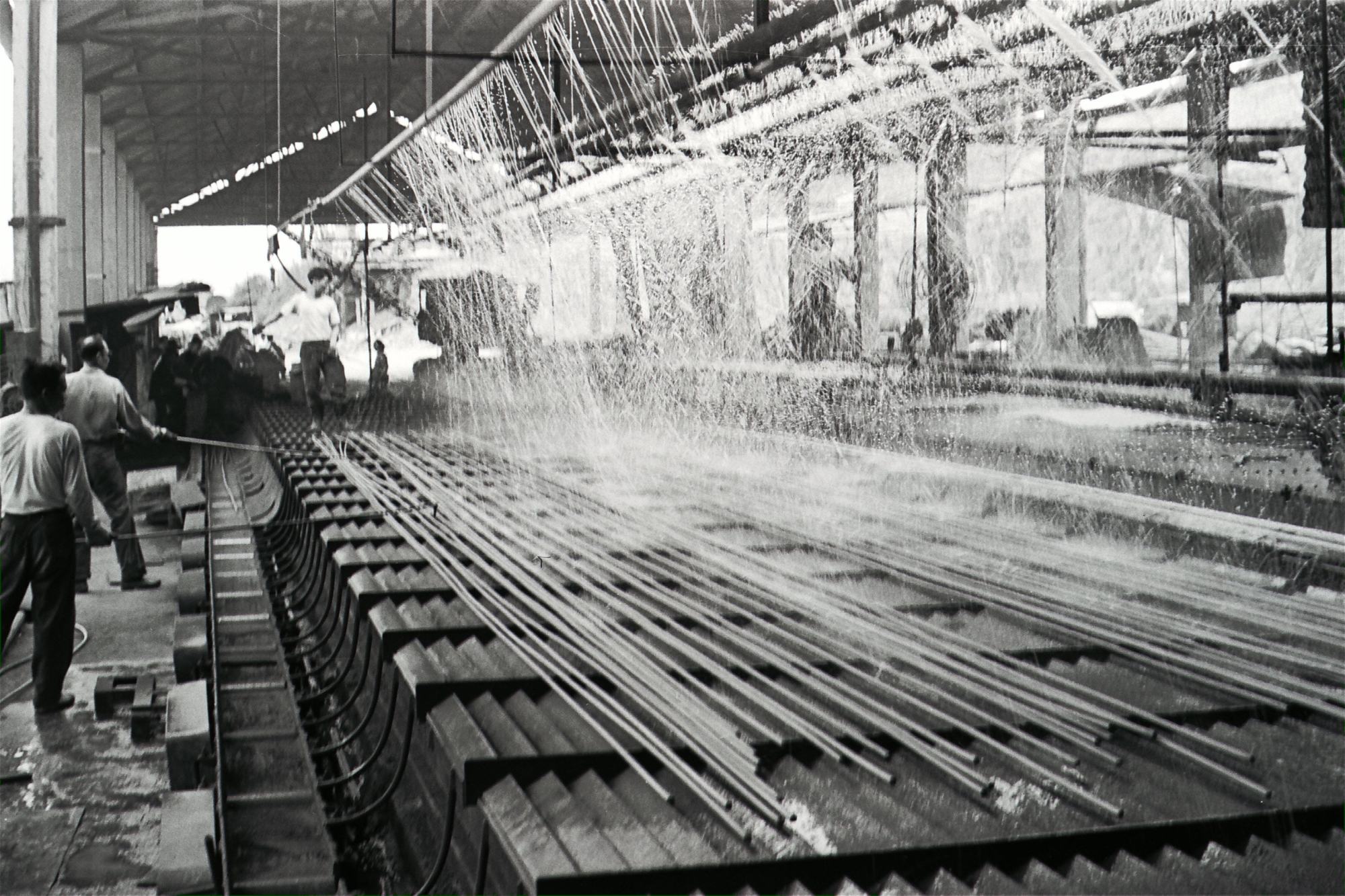 Shiu Wing, Hong Kong’s sole steelmaker, eyes return to green ‘roots’ as ...