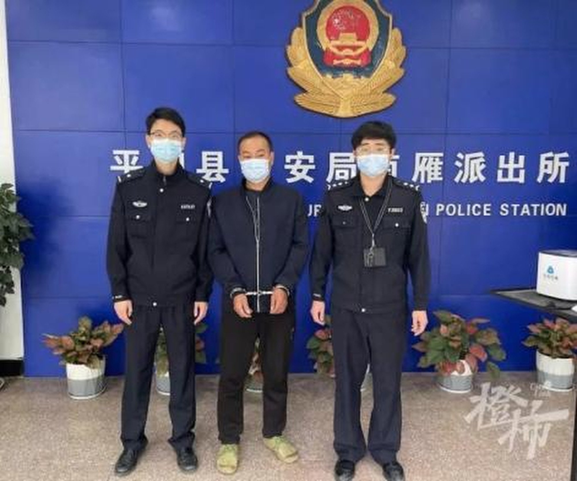 Wild bird hotpot: Chinese man arrested for illegally catching and ...