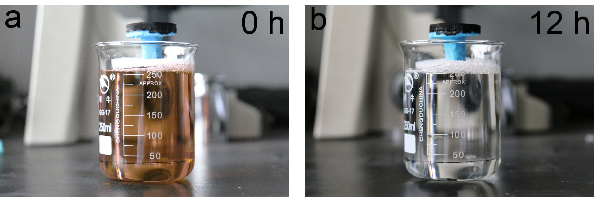 Chinese scientists combine water purification with electric power ...