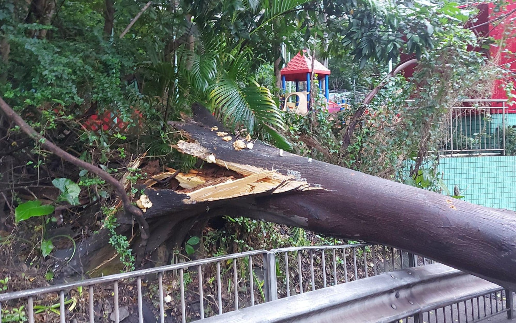 Narrow escape for Hong Kong taxi driver, passenger after 9-metre-tall ...