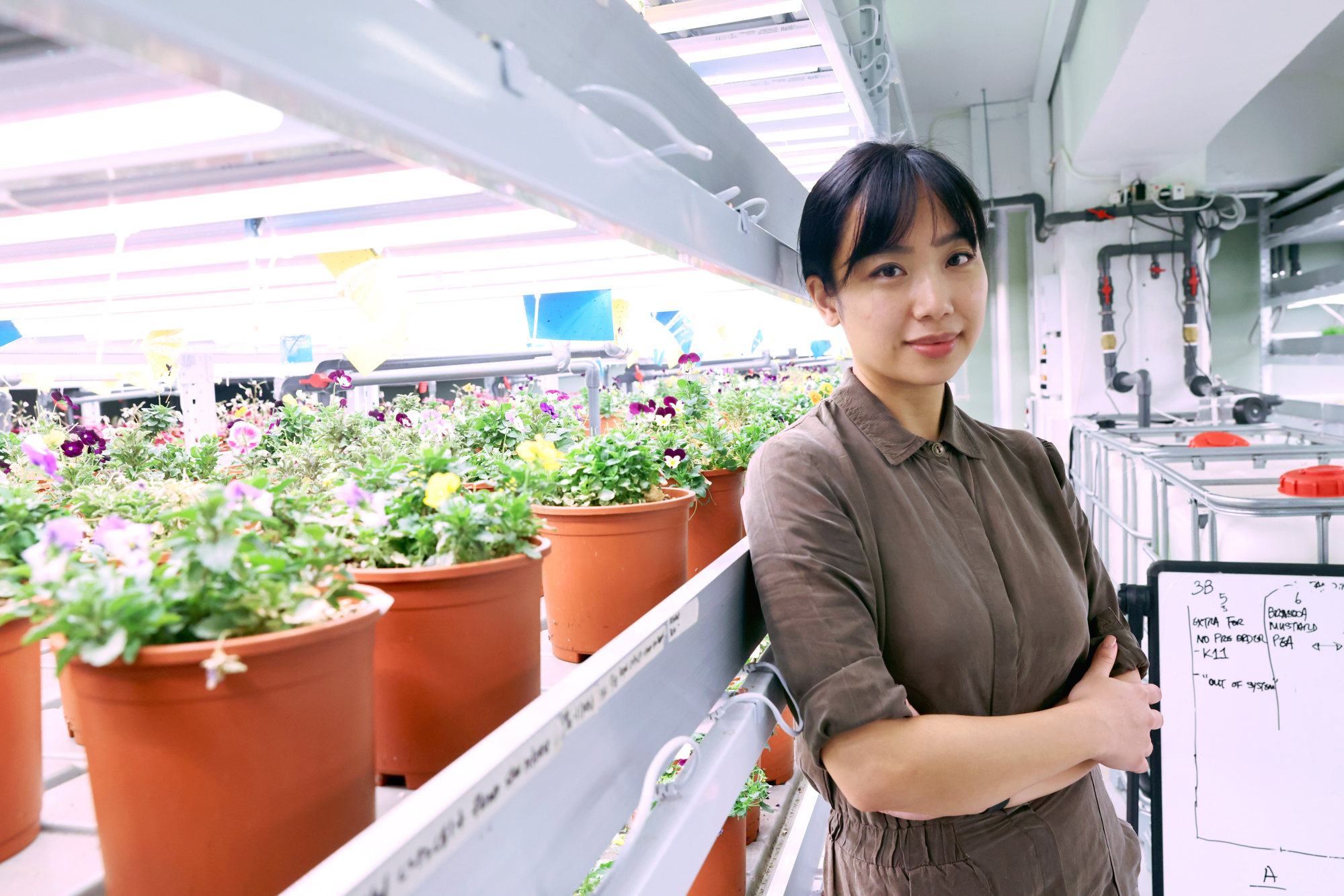 ‘To make high-quality food accessible’: how urban farmer in Hong Kong ...