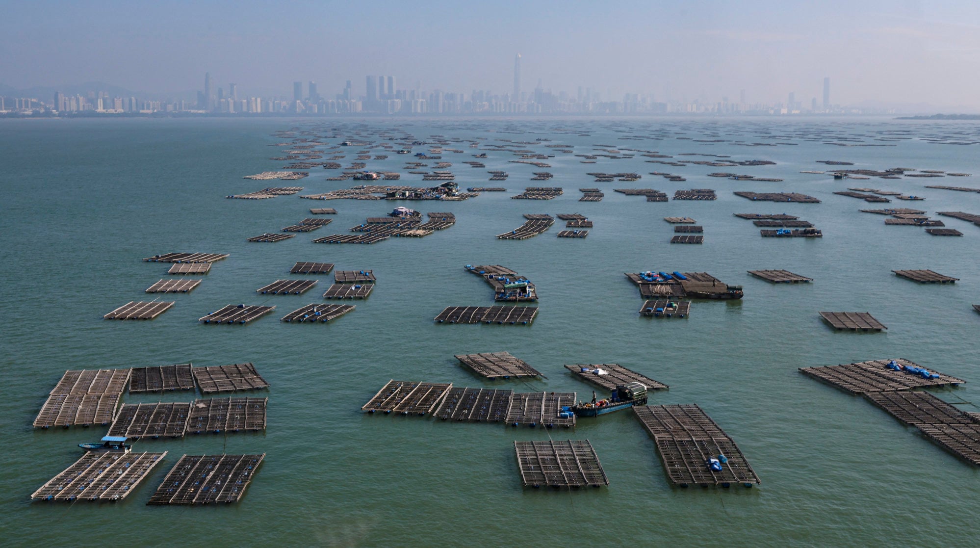 Call to mark 800 hectares in northwest Hong Kong as marine reserve to ...