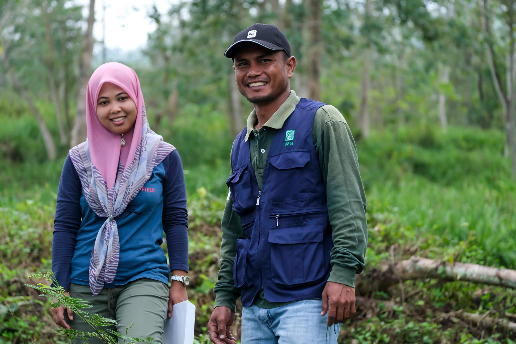 Elephant safaris in a plantation? In Sabah, Malaysia, new project lets ...