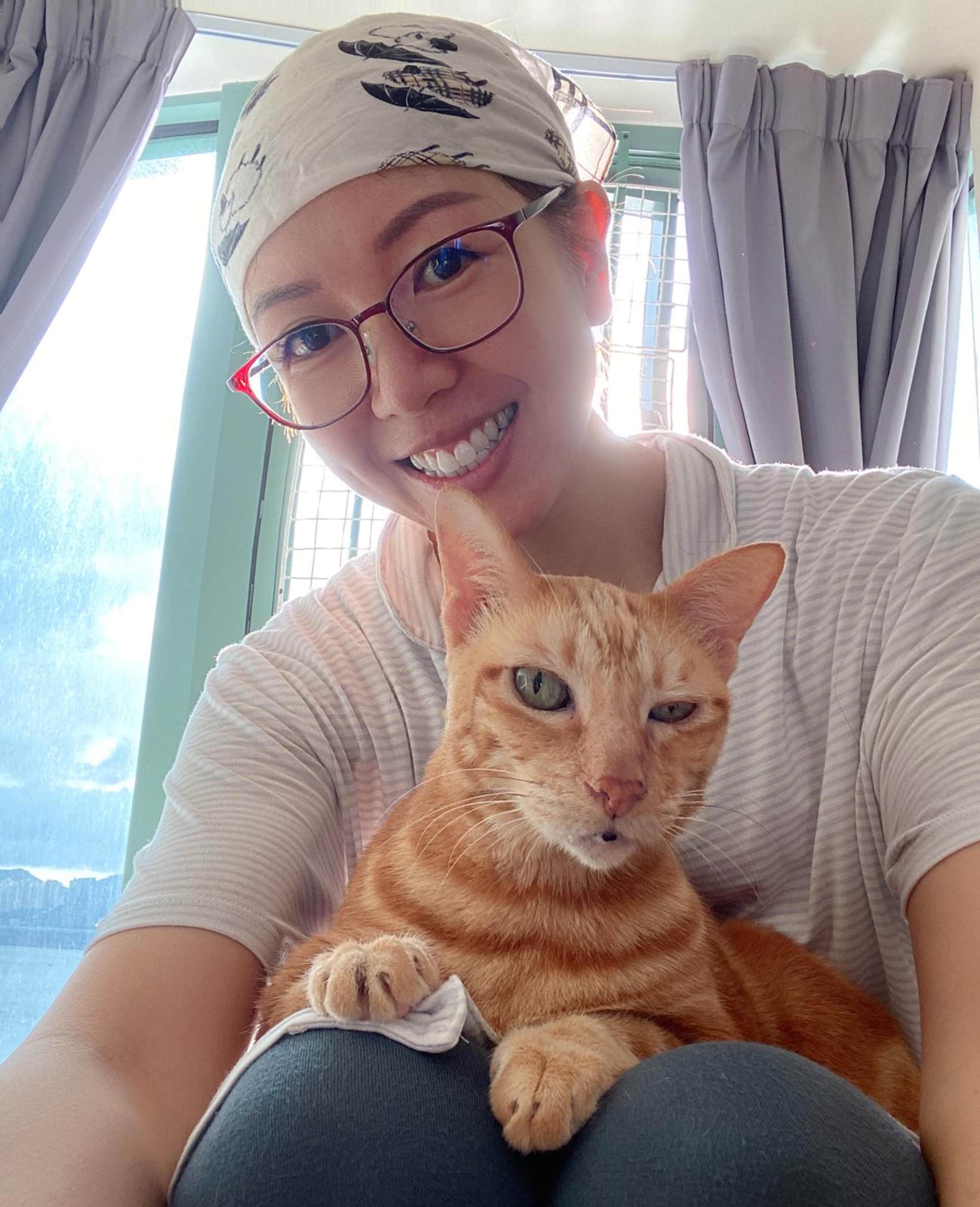 ‘My cats were there for me’: pets helped breast cancer survivor through ...