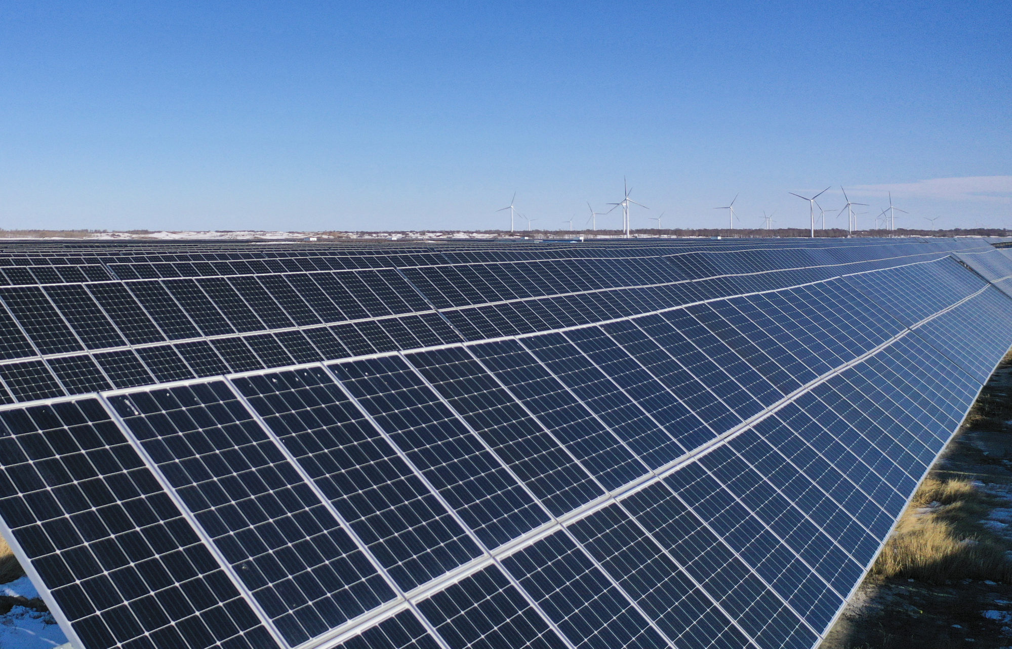 Opinion | Global trade rules should not get in the way of national ...