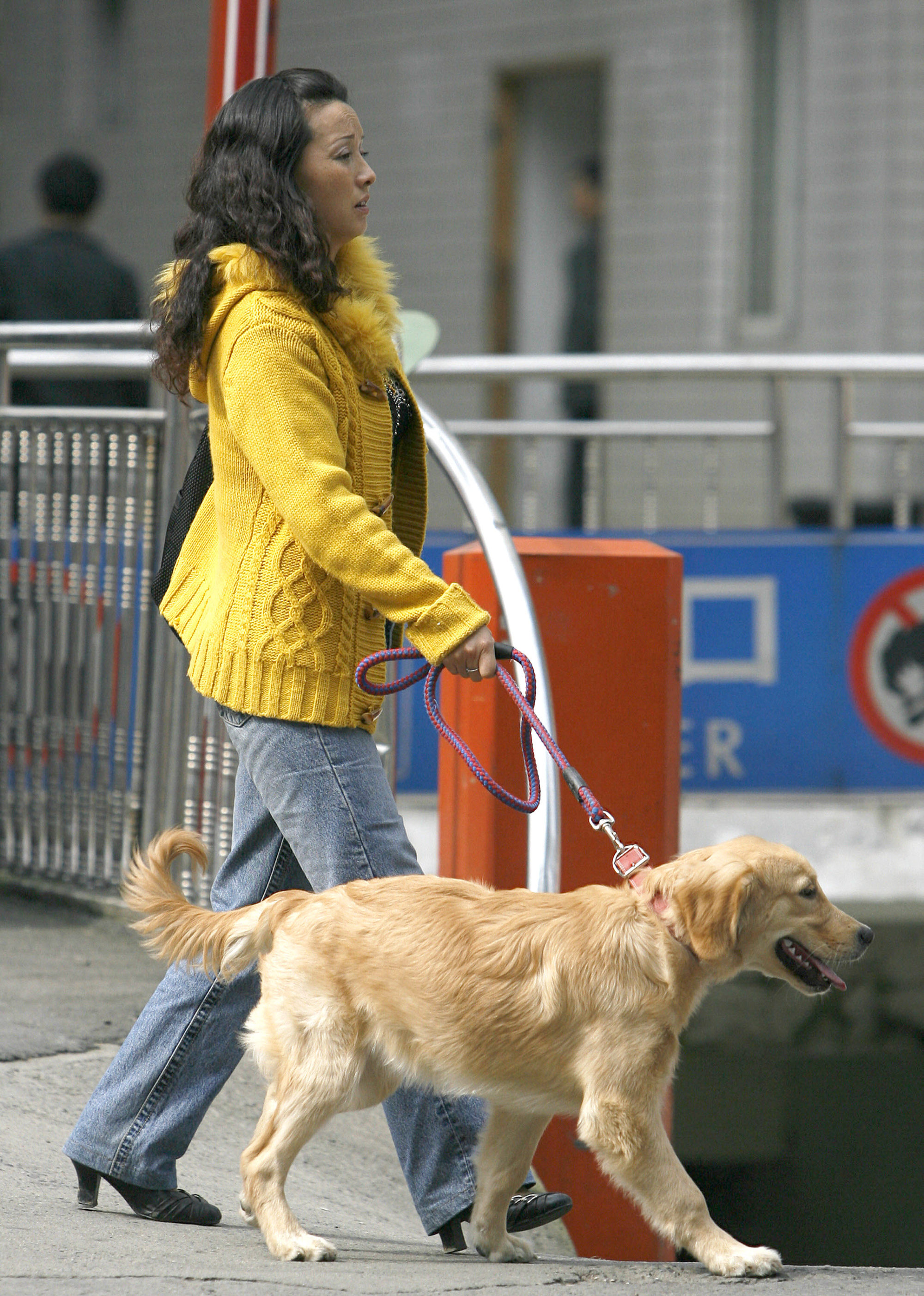 Pet passion: 50 million express animal emotions online after dogged ...