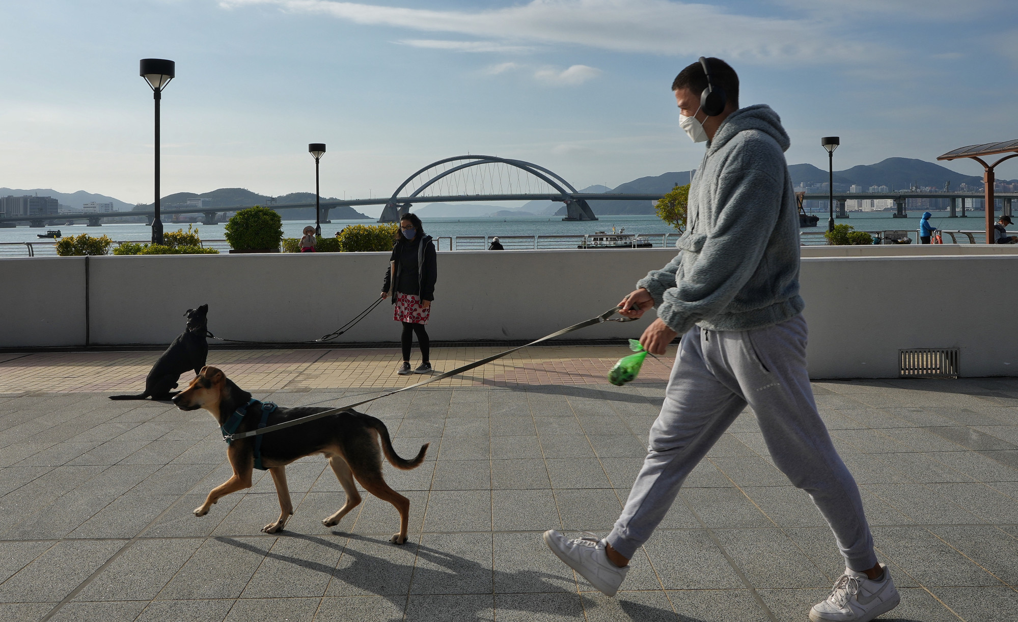 Hong Kong logs one of 6th warmest years since records began, with ... Hong Kong logs one of 6th warmest years since records began, with ...