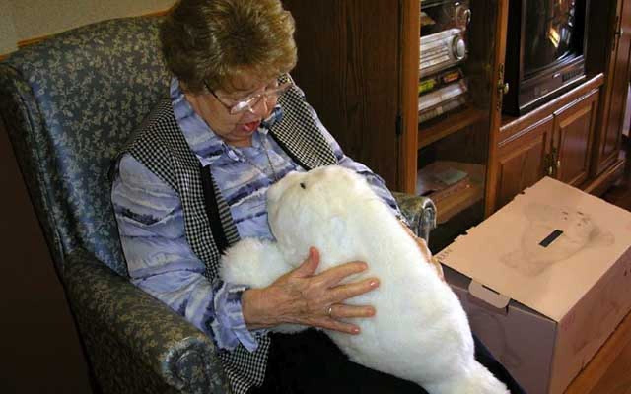 Japan tests if sending cuddly robotic seals on a mission to Mars could ...